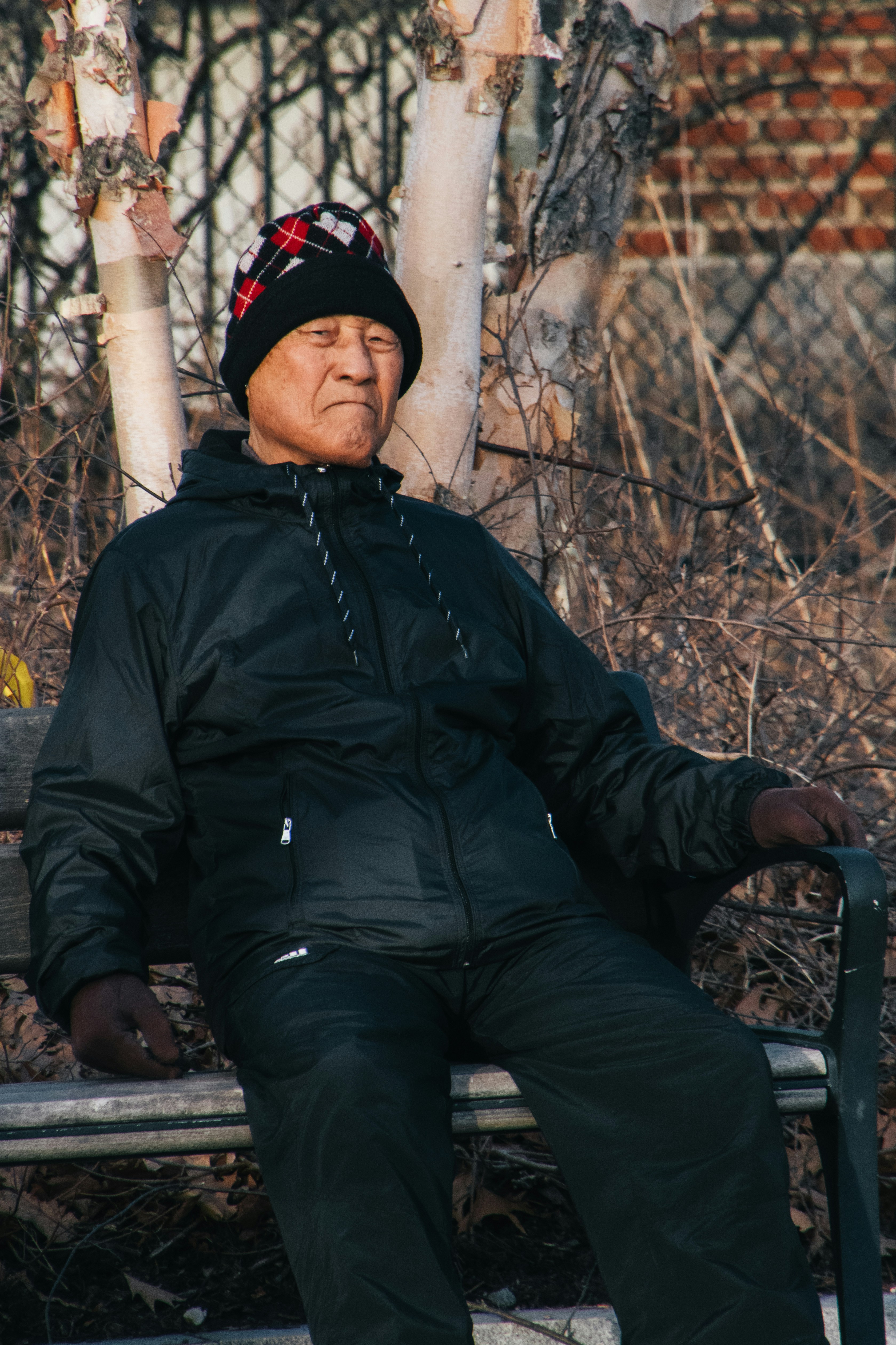 Quiet Resilience on a Winter Bench