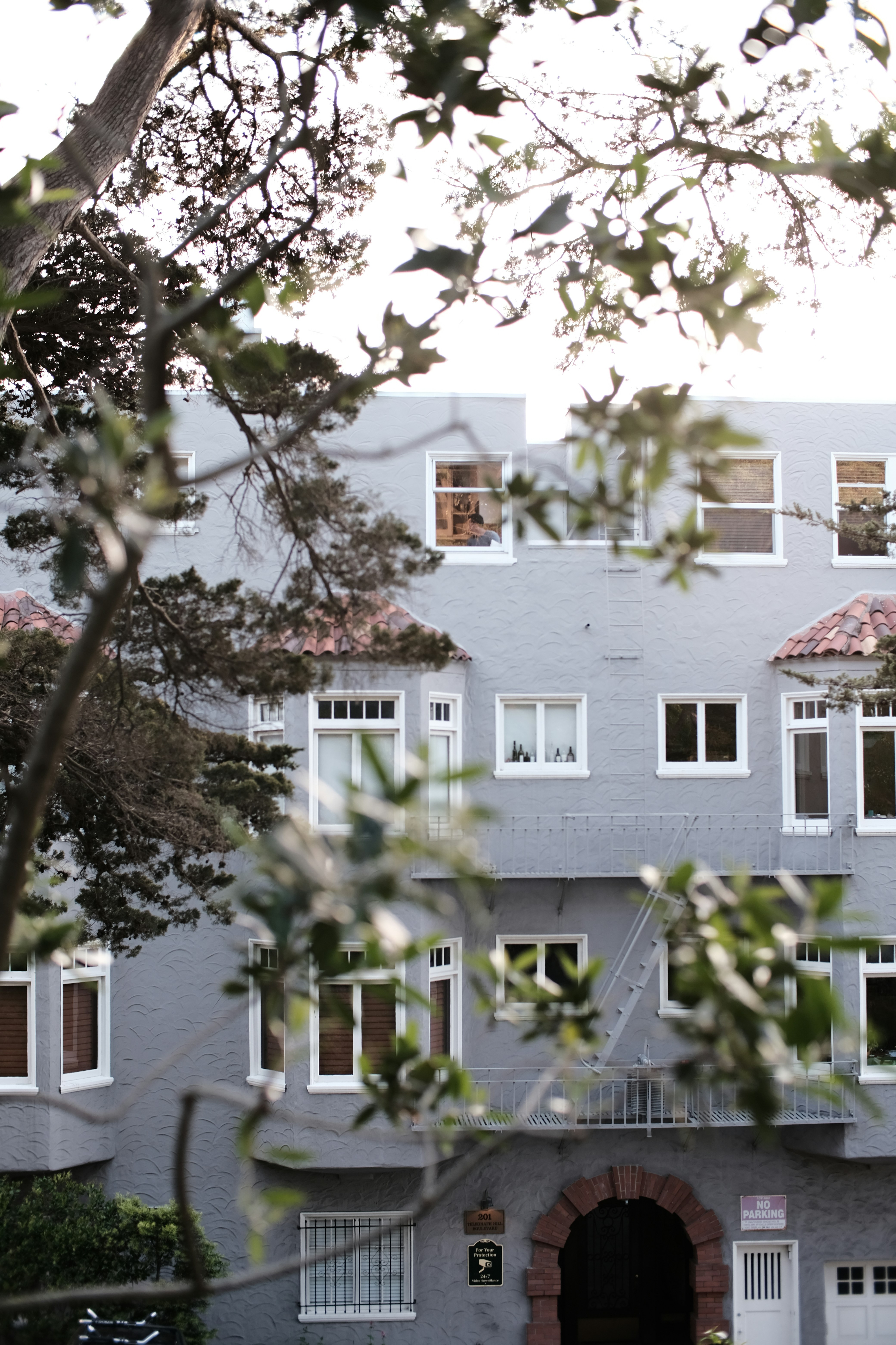Urban Courtyard Facade Framed by Fluttering Leaves
