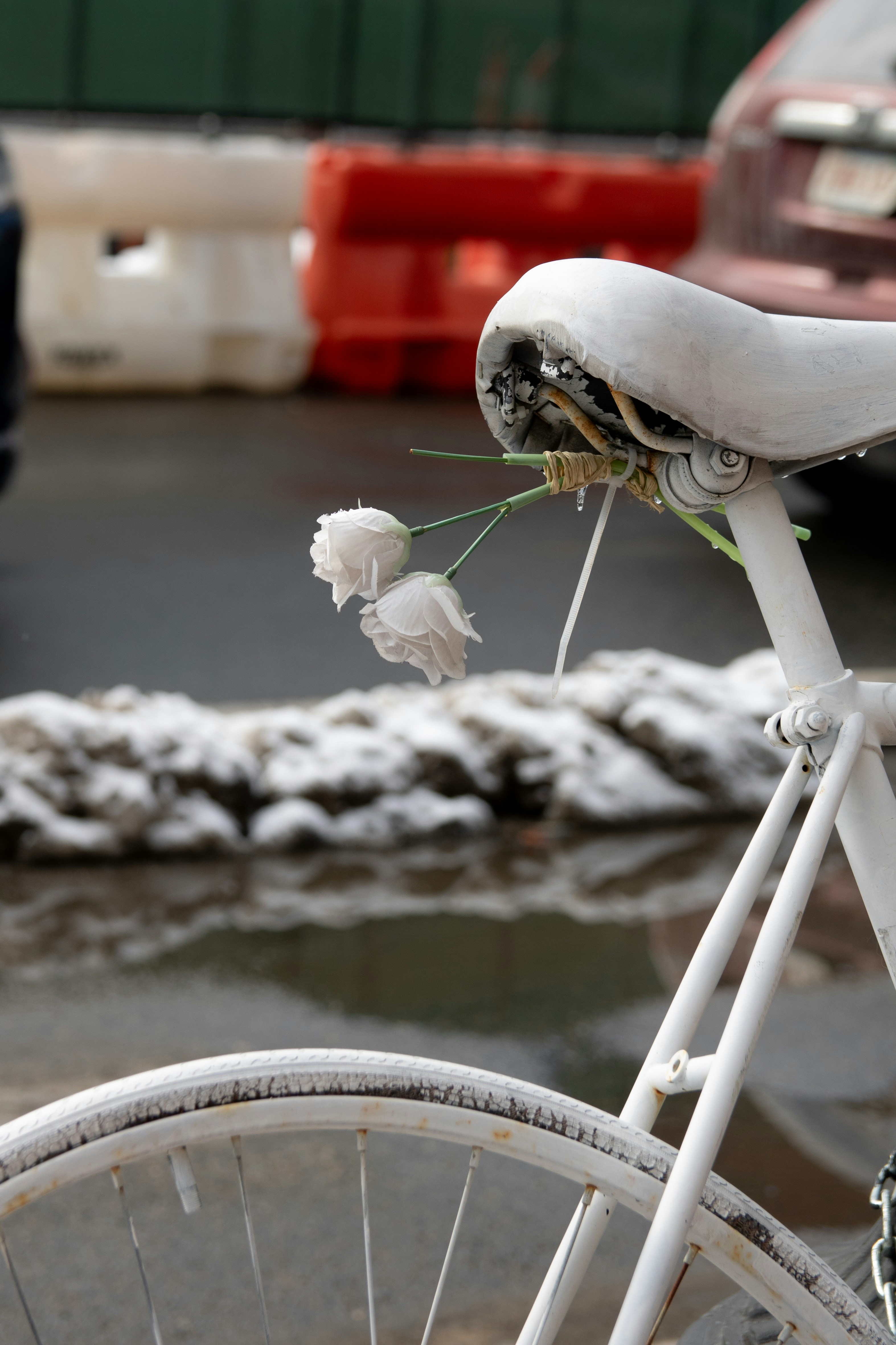 White Bicycle Seat with Wilting Roses in an Urban Backdrop
