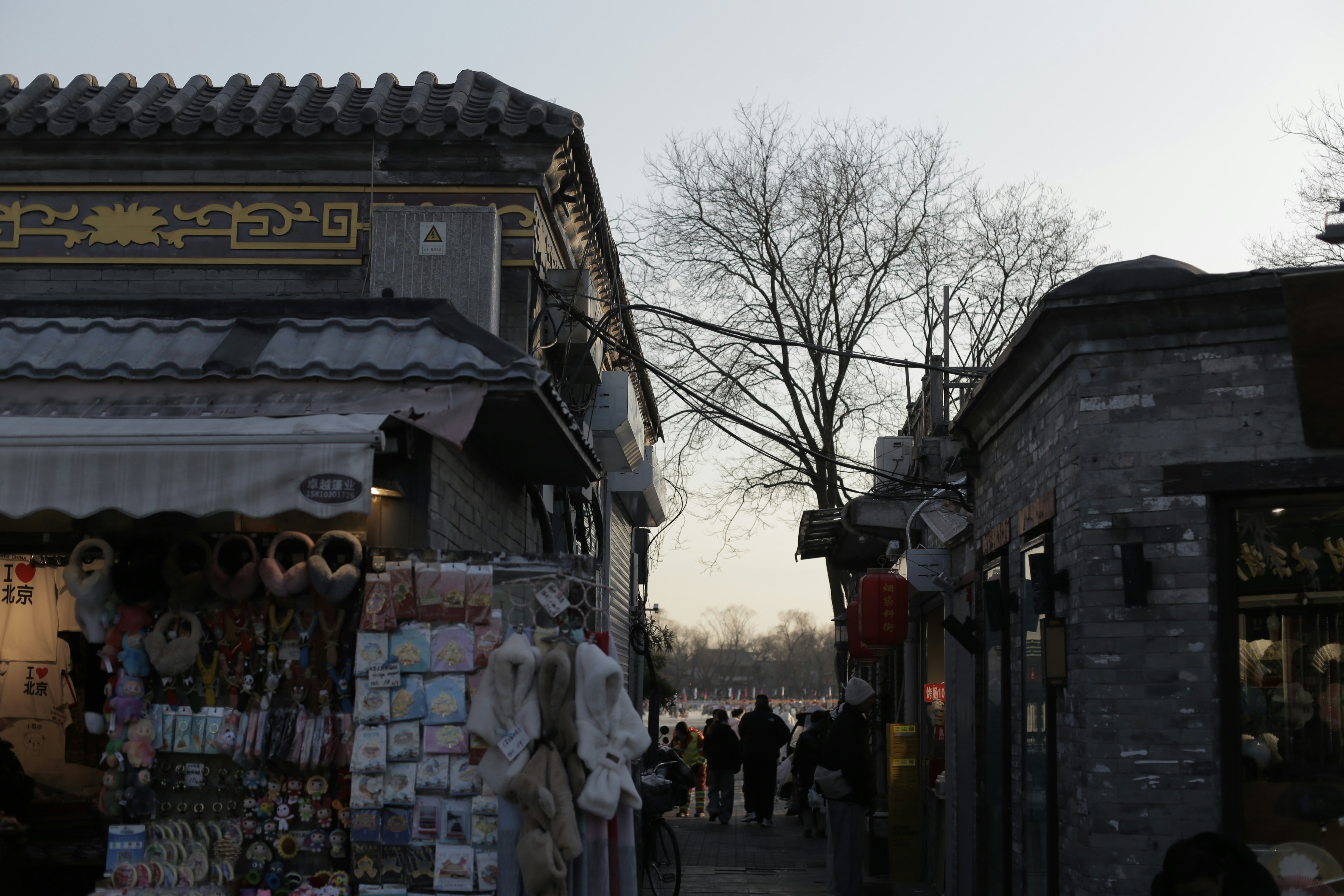 Evening Market Corridor under Quiet Branches