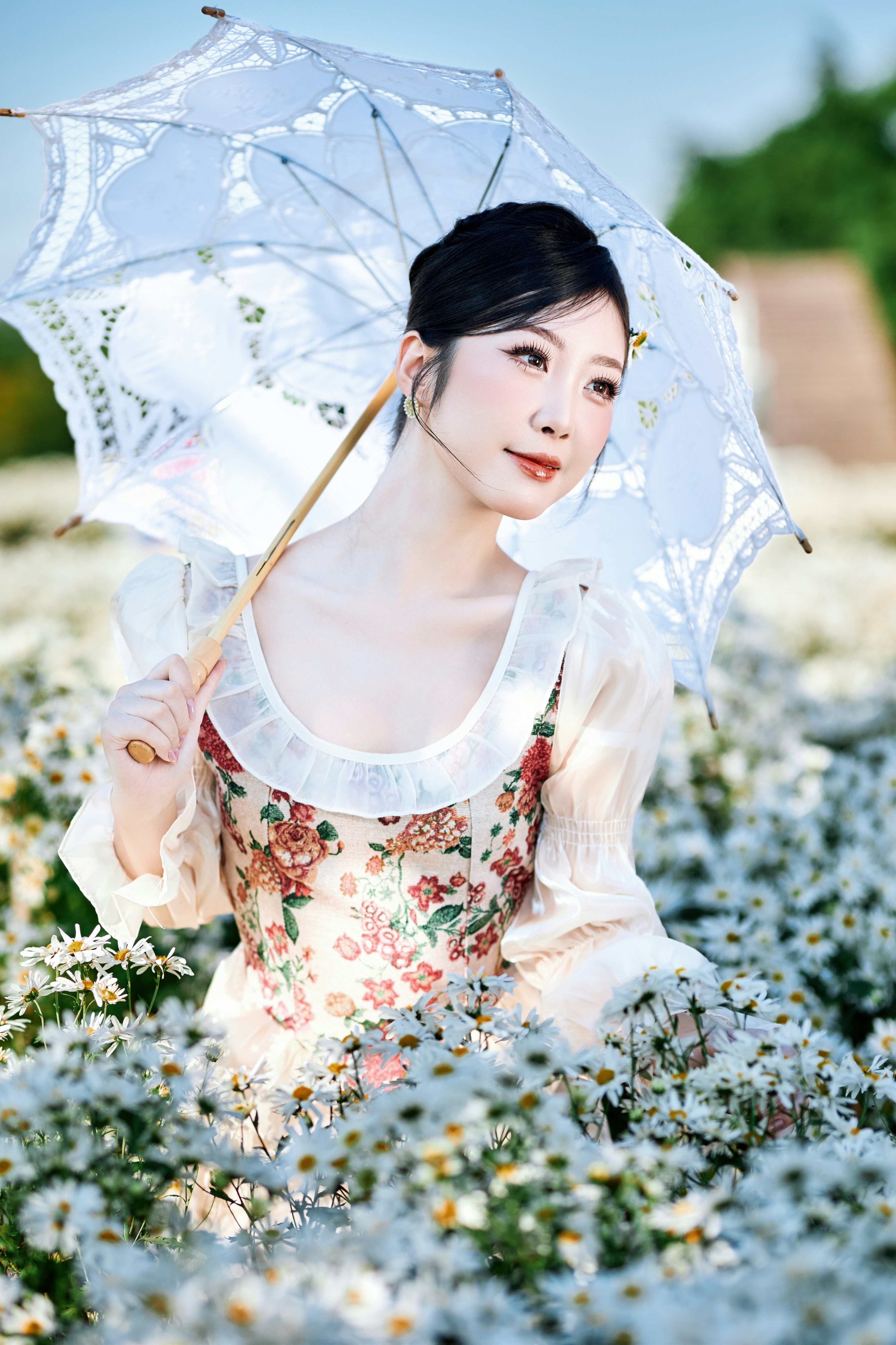 Portrait in Lace and Light: A Parade of Daisies Beneath a Delicate Umbrella