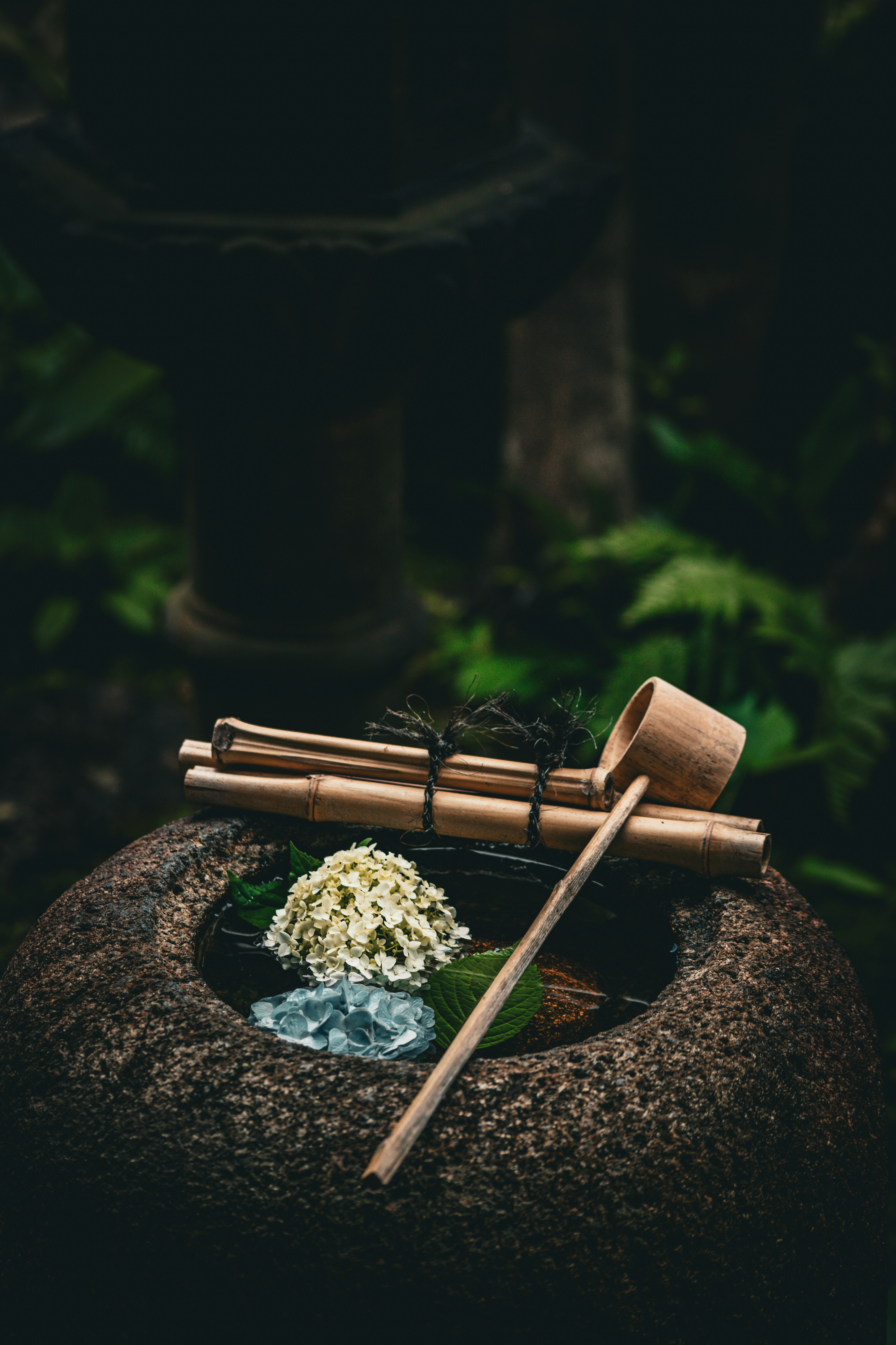 Sacred Tea Ritual on a Stone Altar