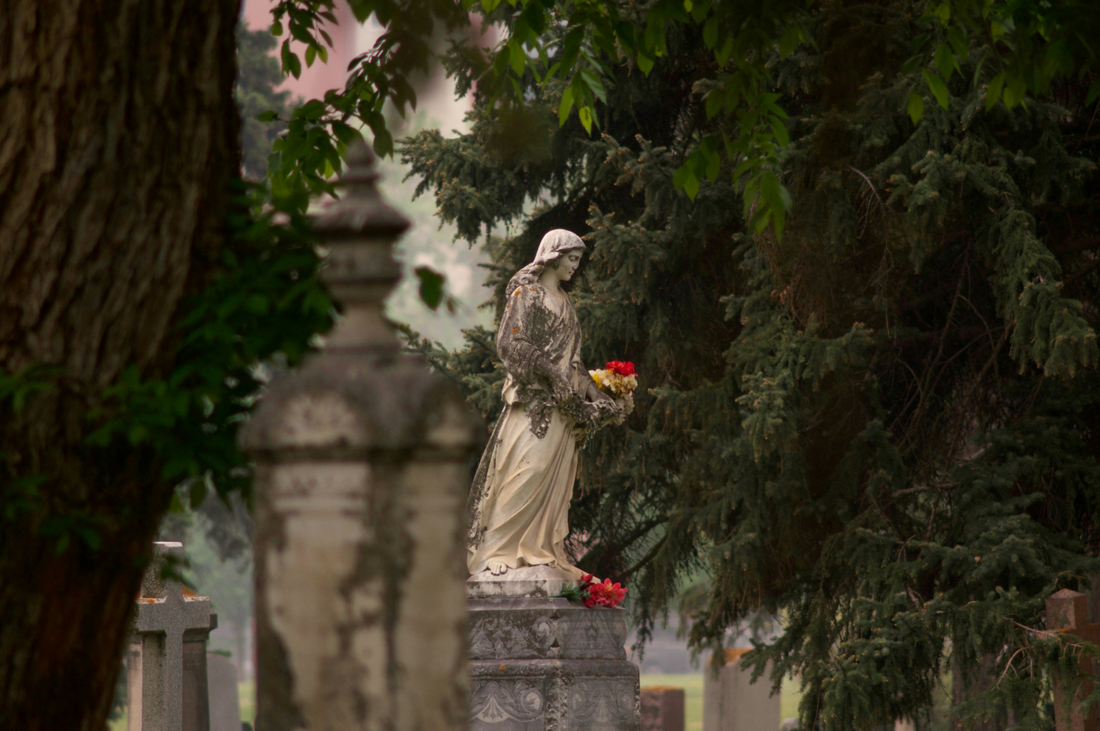 Statue in the Quiet Cemetery Garden