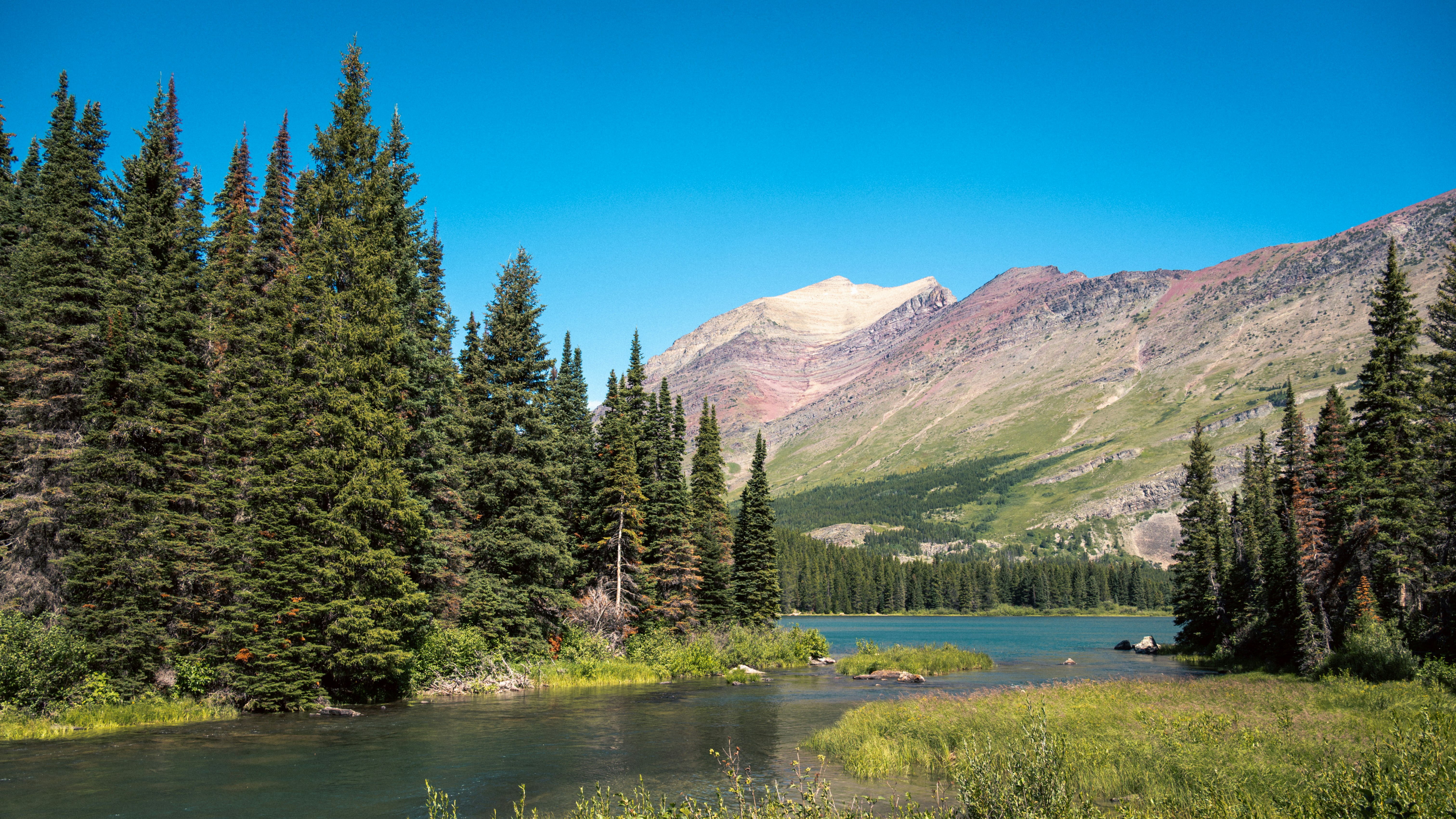Emerald Lake Tapestry: Pines, Peaks, and a Glacial Blue Horizon