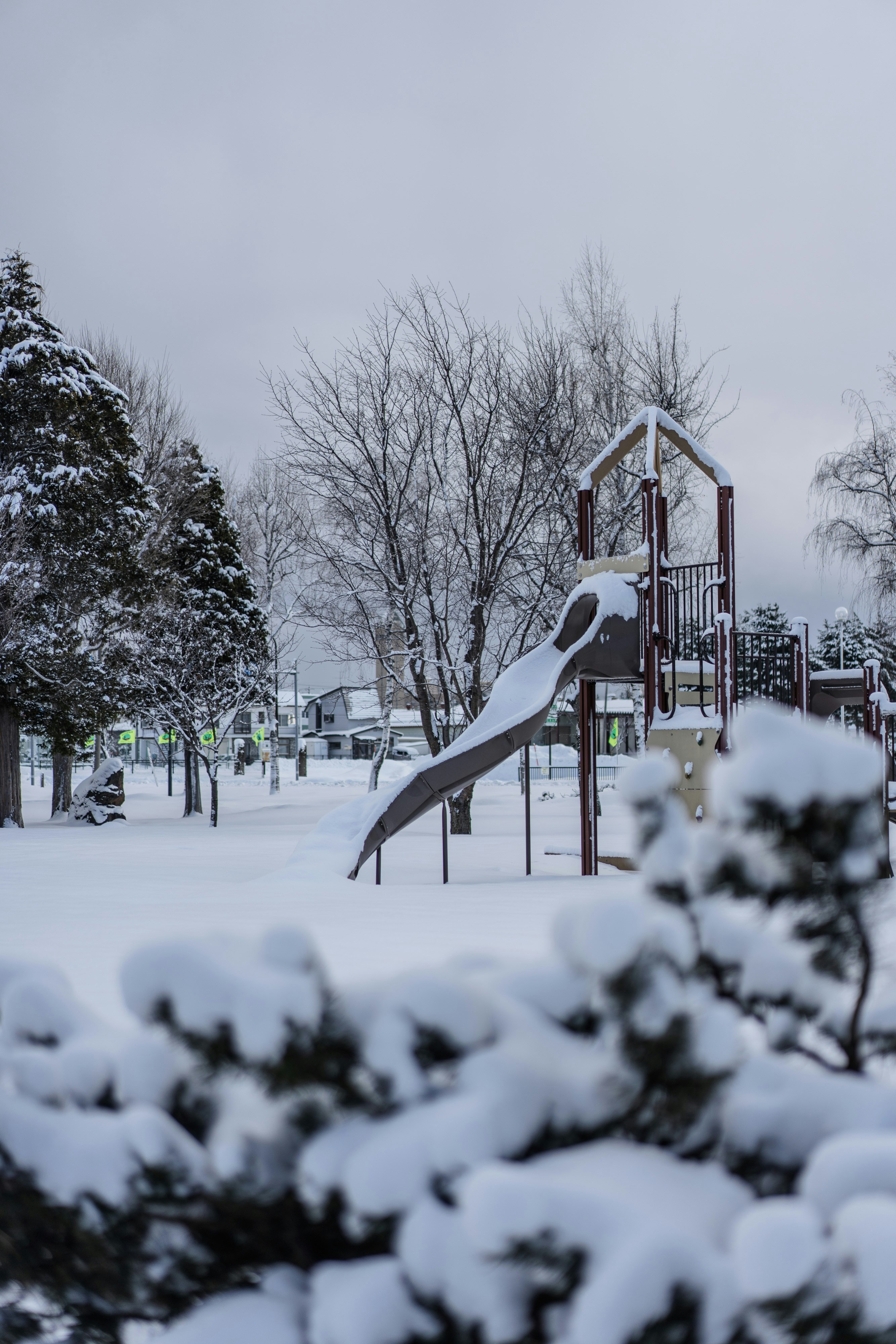 Snow-Blanketed Playground Meets Quiet Suburban Park