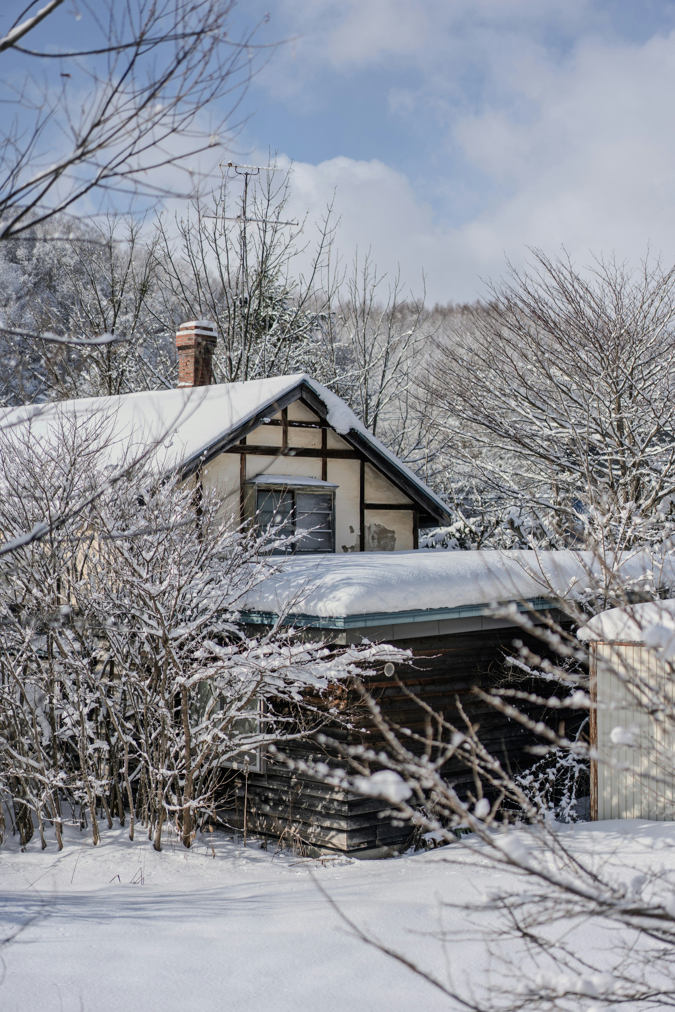 Snowbound Cottage Under a Blue Winter Sky