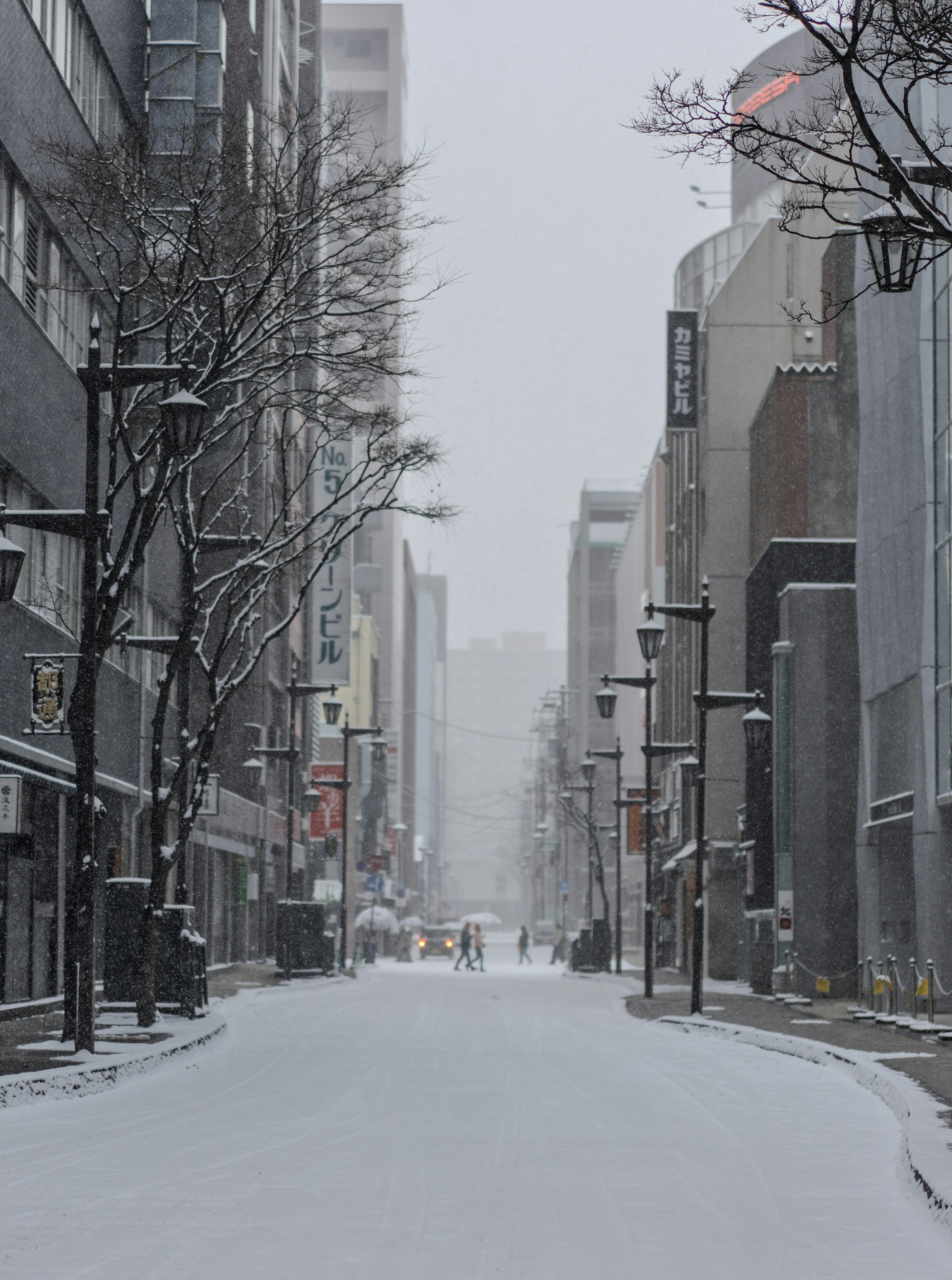 Snow-veiled Urban Silence: A Central Street in Winter