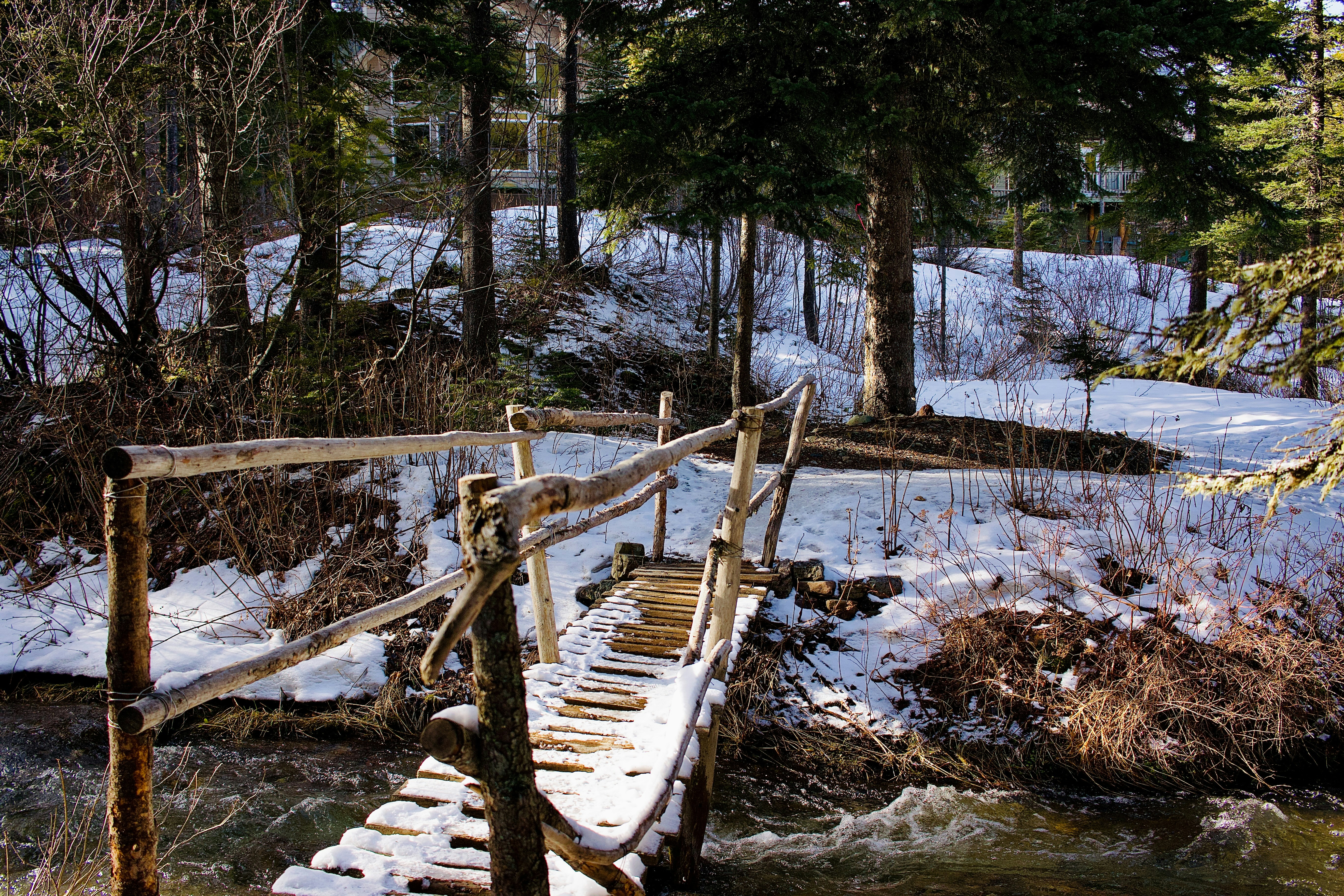 Snow-Threaded Footbridge Beyond the Weir