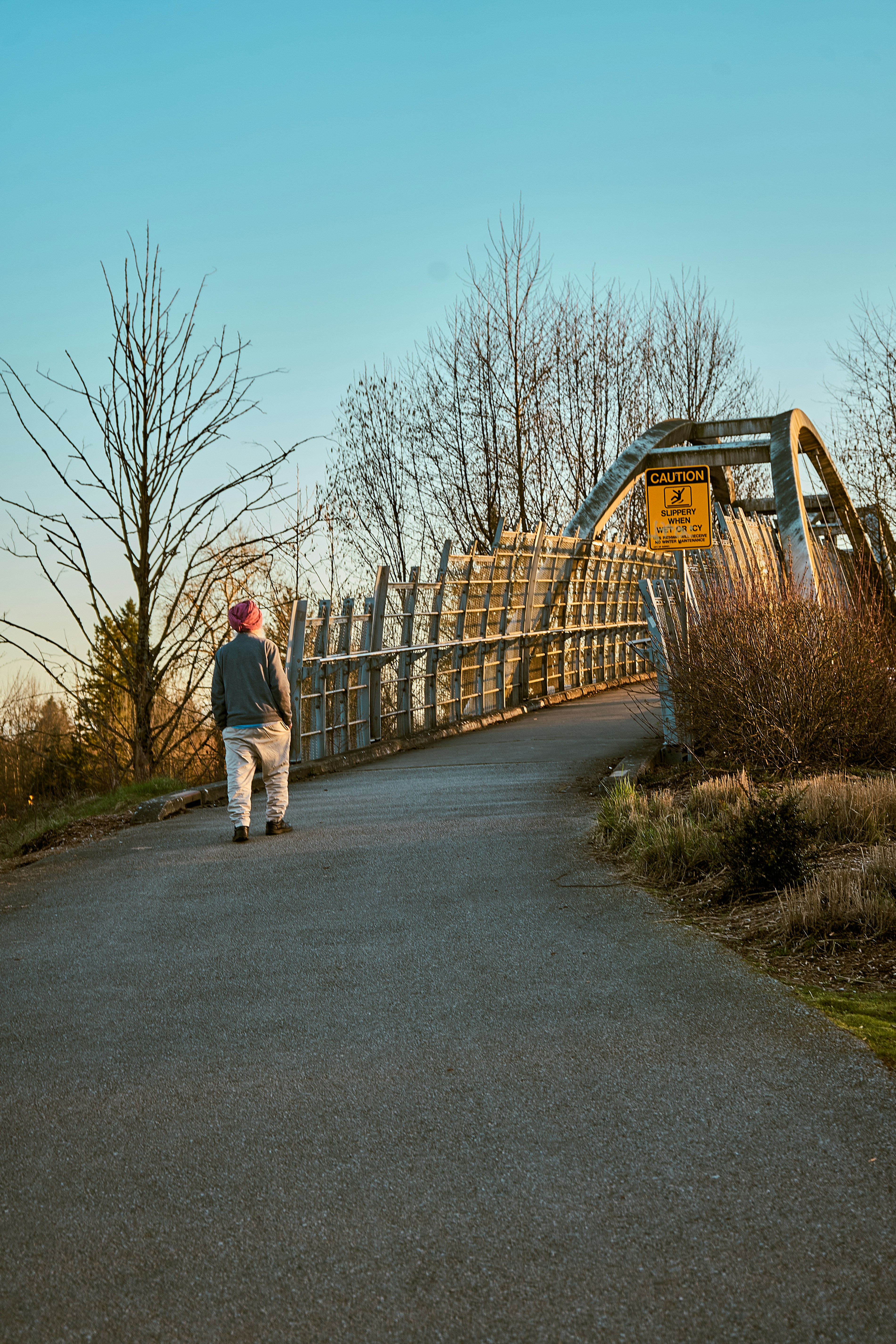 Path to the Bridge: A solitary wanderer on a sunlit trail