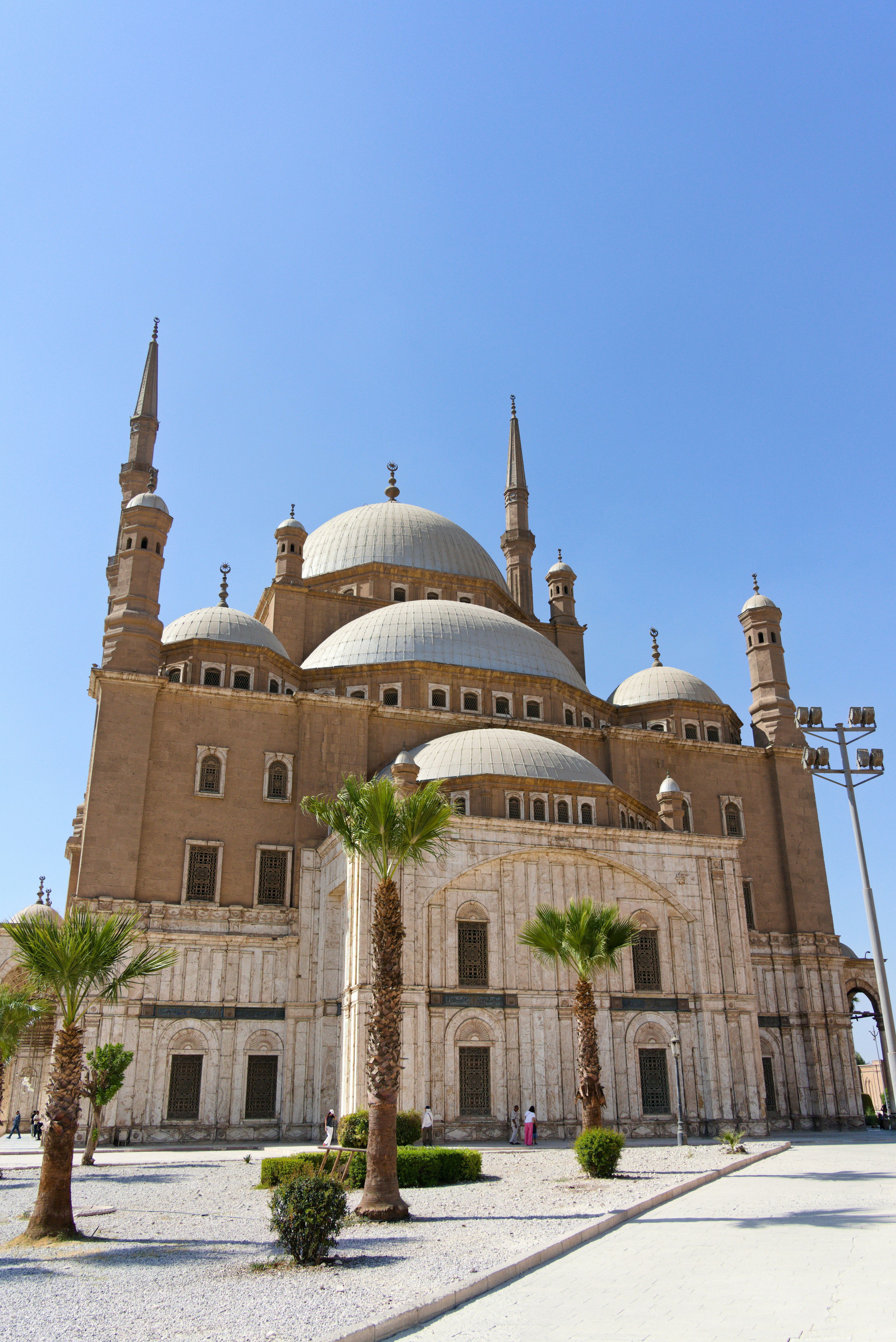 Majestic Mosque Rising Above Palm-Shaded Courtyard