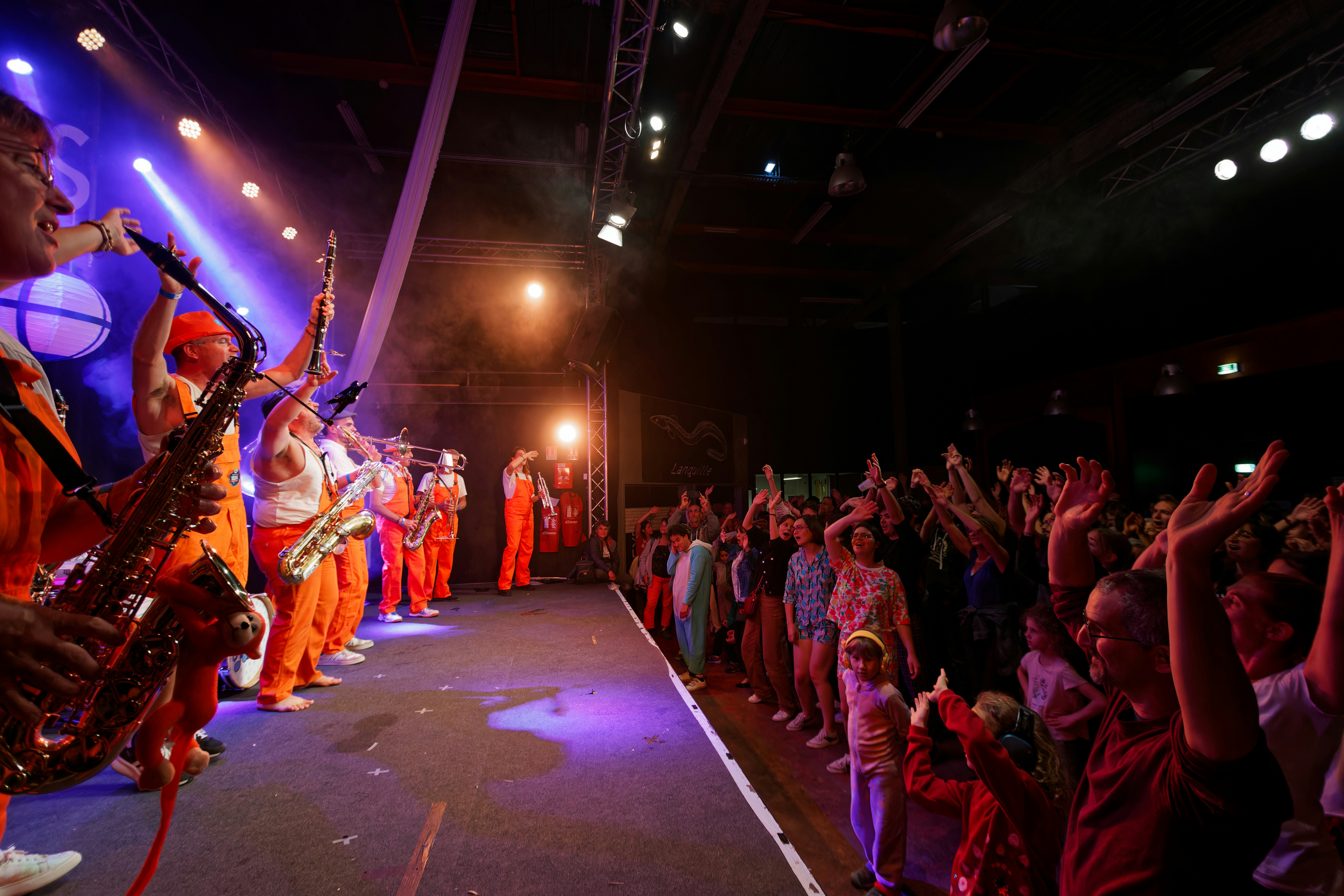 Stagefront Groove: Horns and Hands Across a Live Crowd