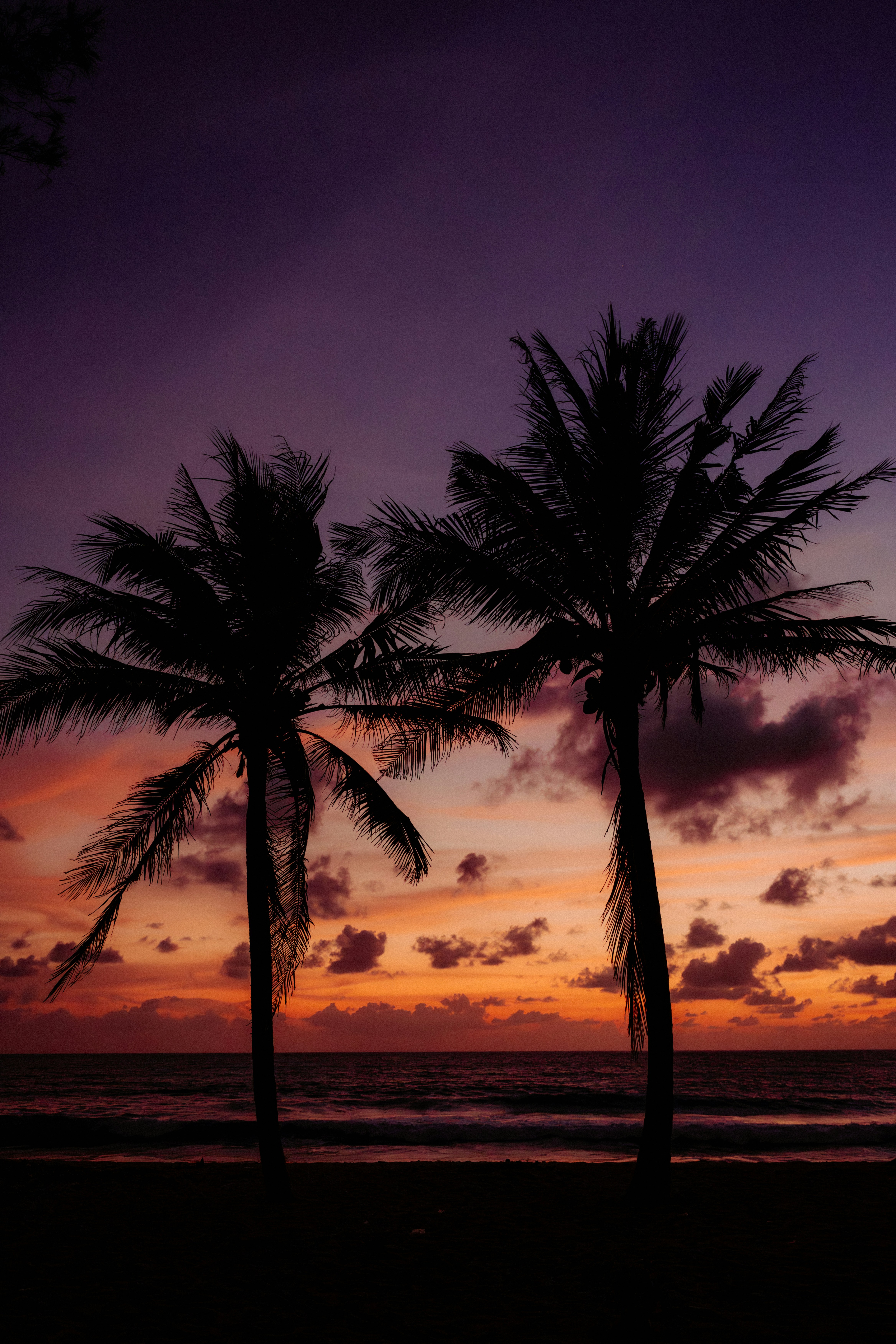 Twin Palms at Dusk: Silhouettes Against a Fiery Sea