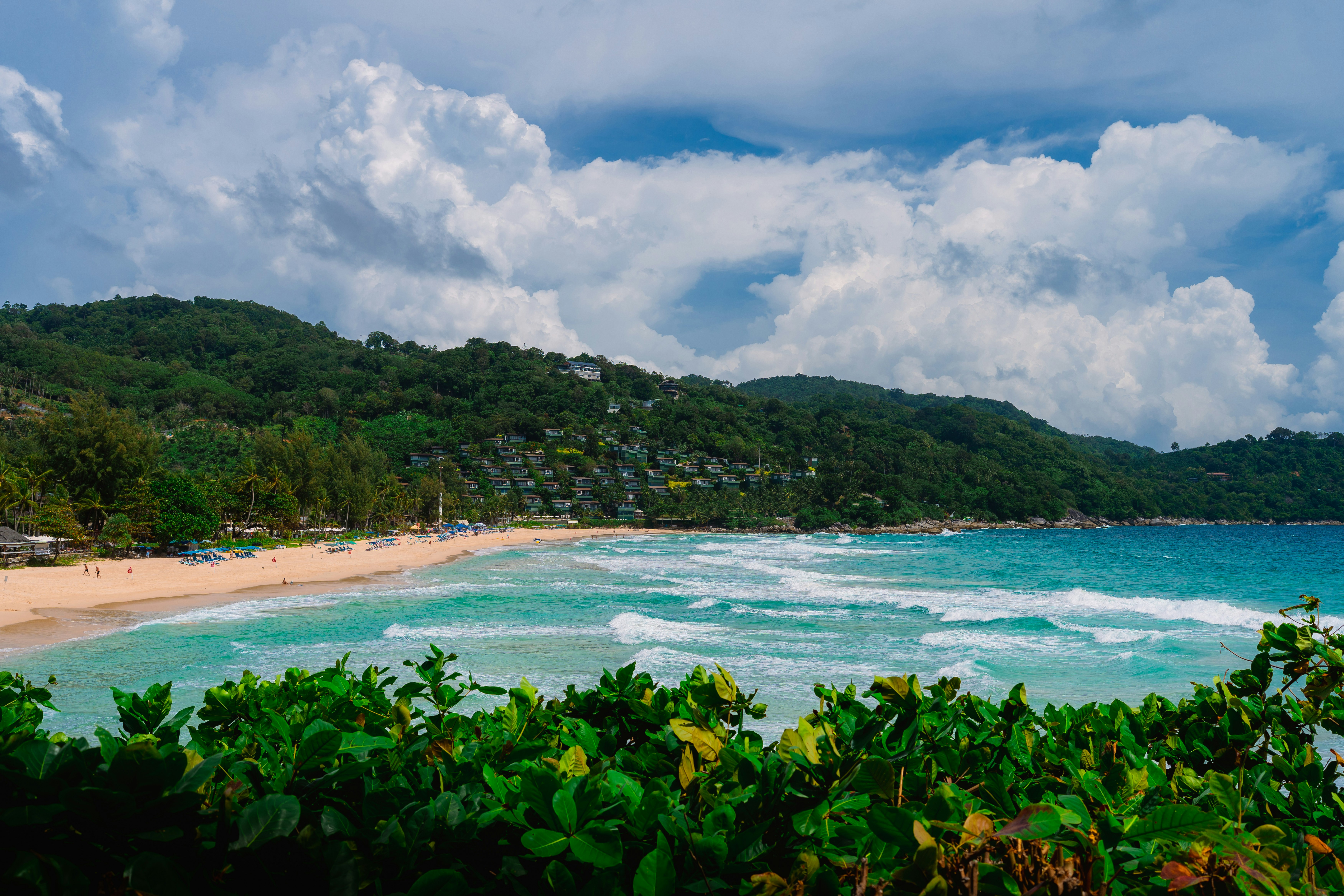 Azure Coastline Beyond a Green Foreground