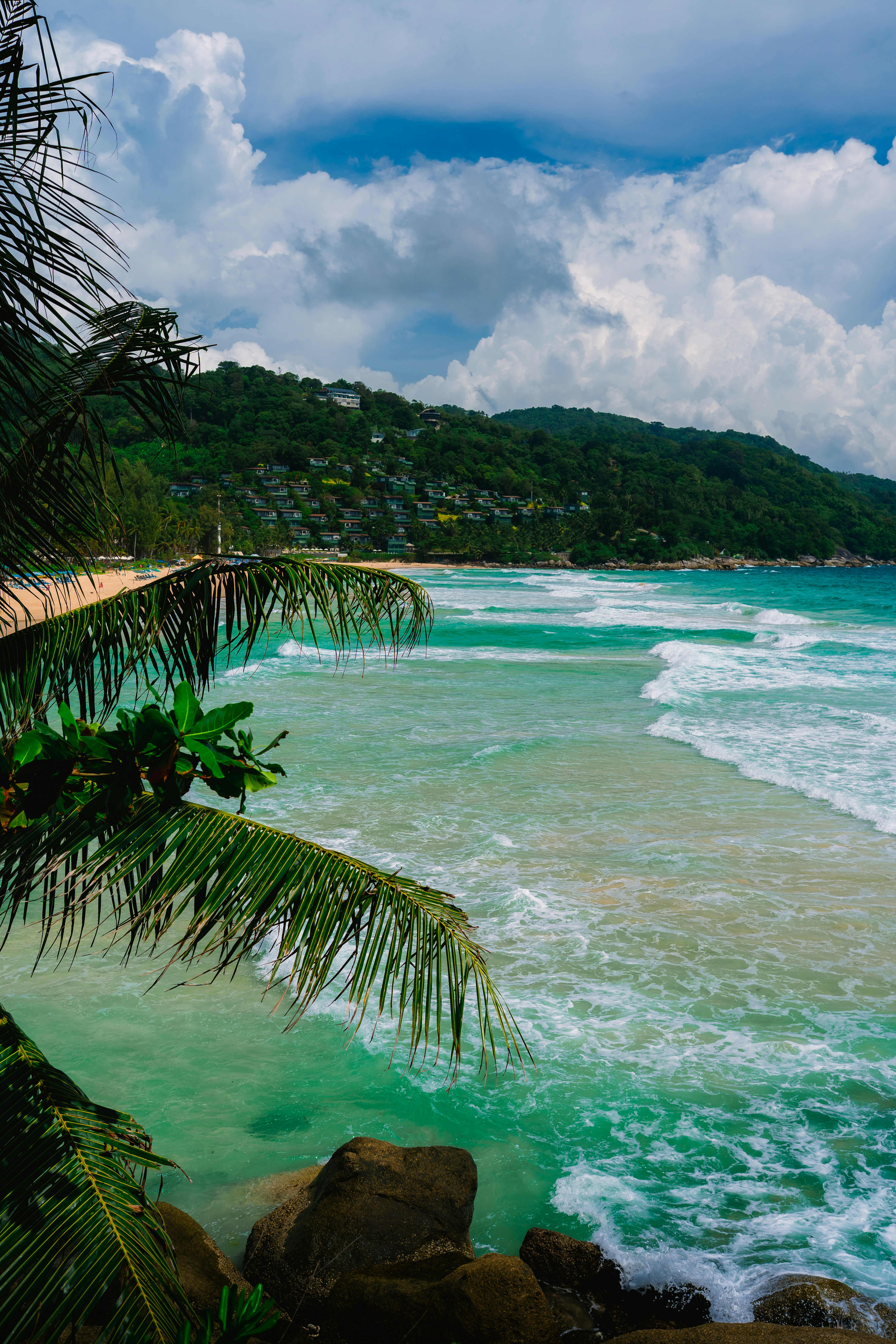 Palm Fronds Framing a Turquoise Shoreline
