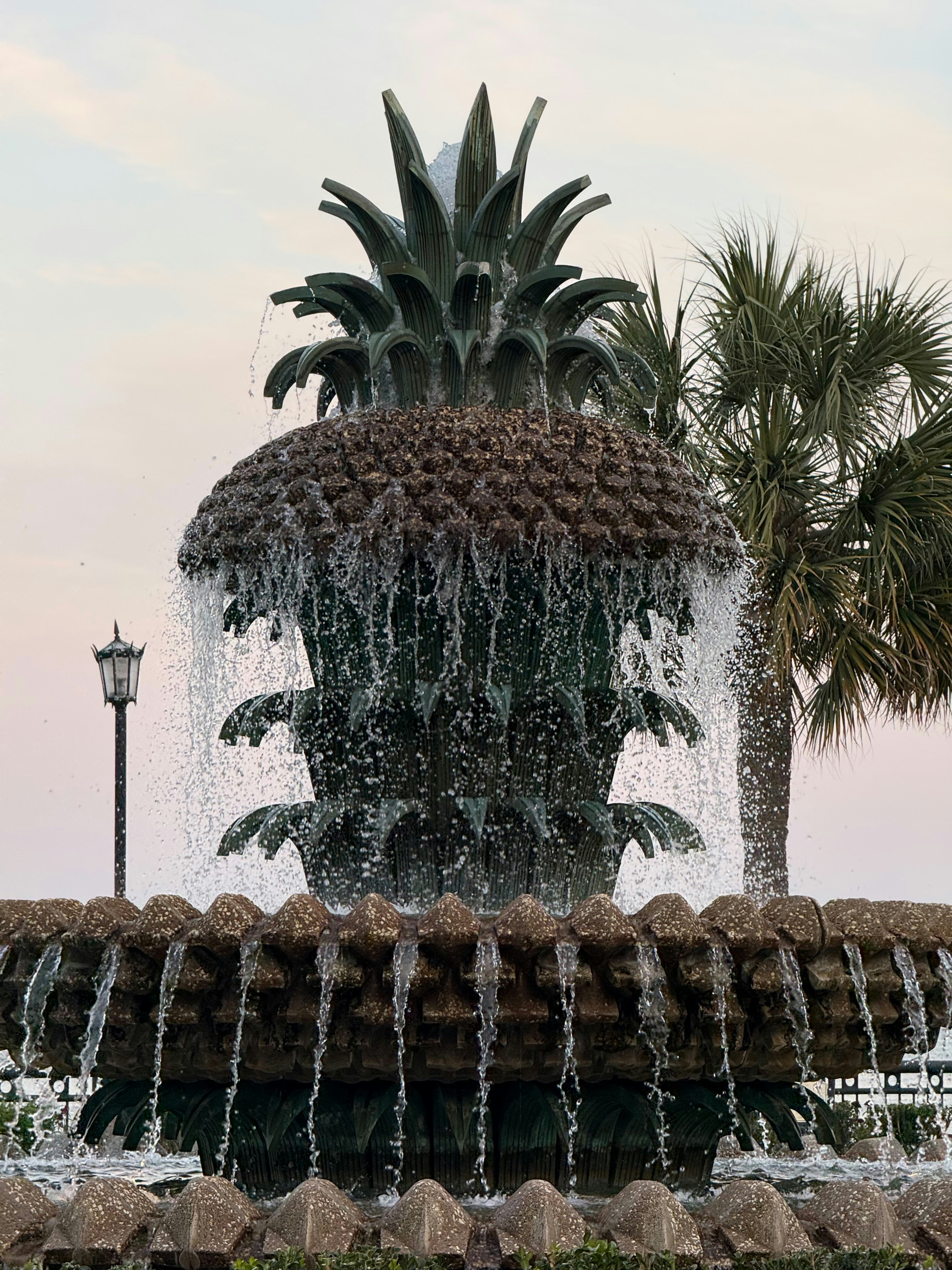 Central Fountain Pineapple: A Sunset Moment with Water Crown