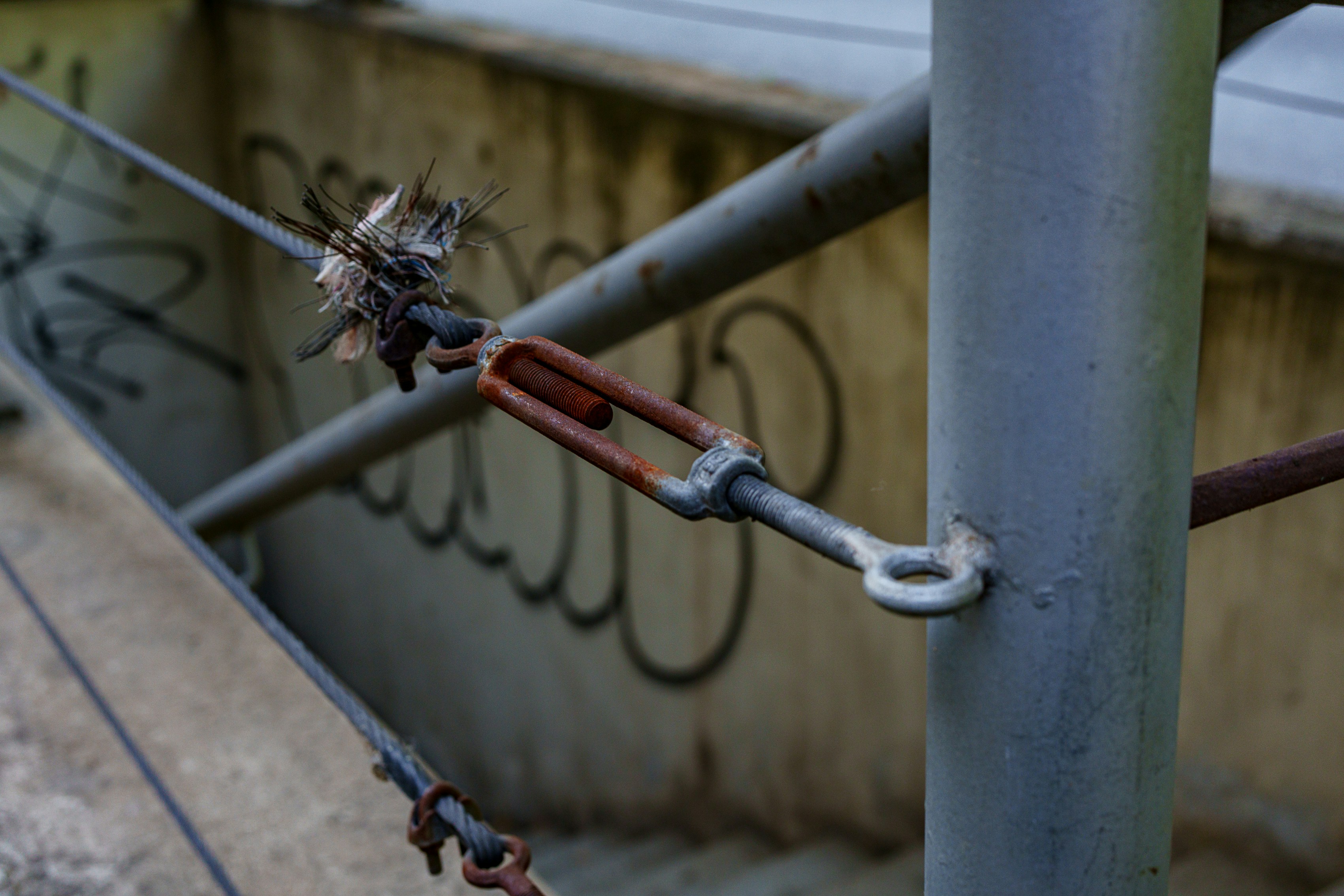 Rusted wire and gnarled fastener: a close look at urban decay