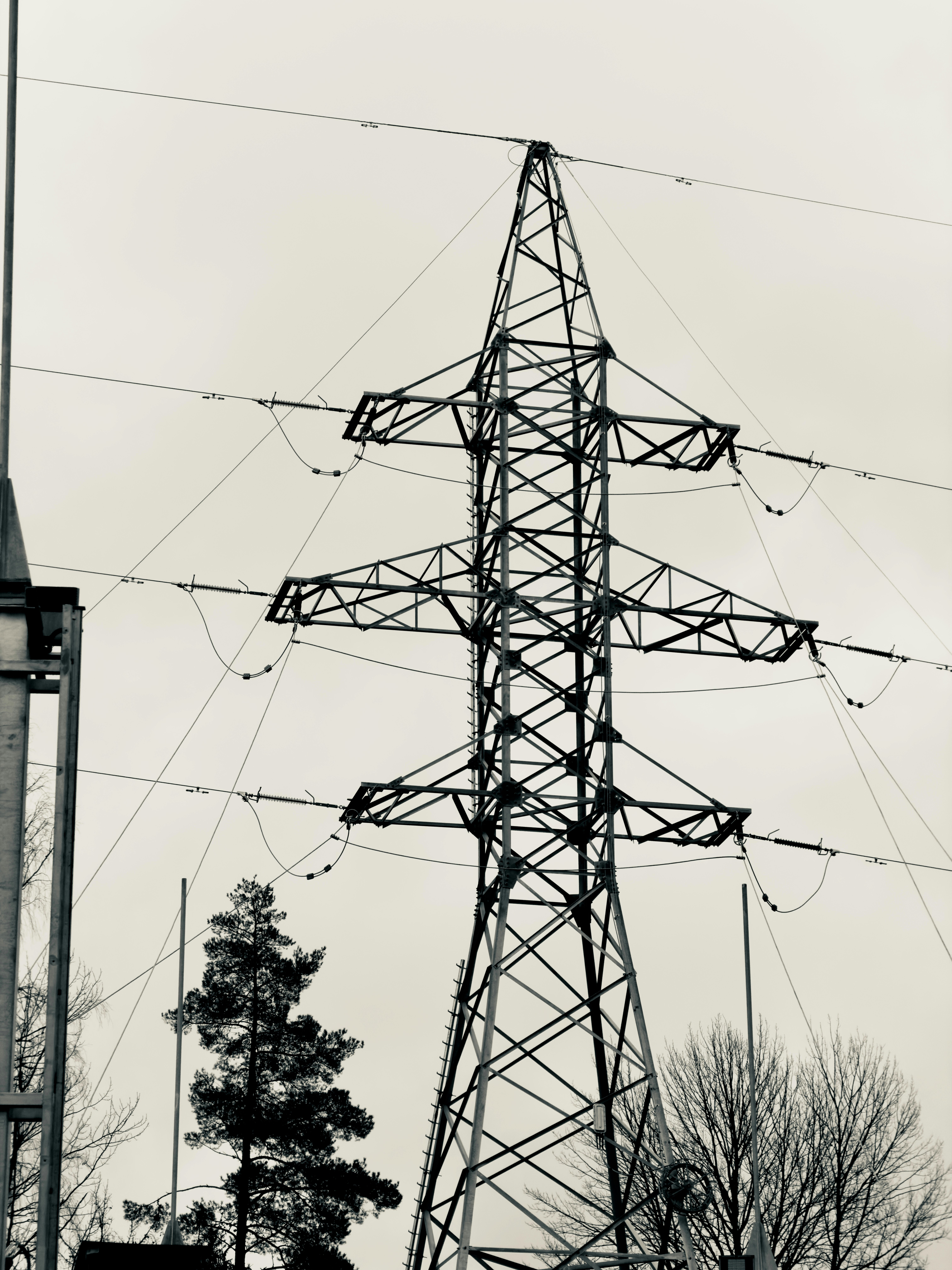 Arc of Steel: The Electric Sentinel Rising Against a Pale Sky