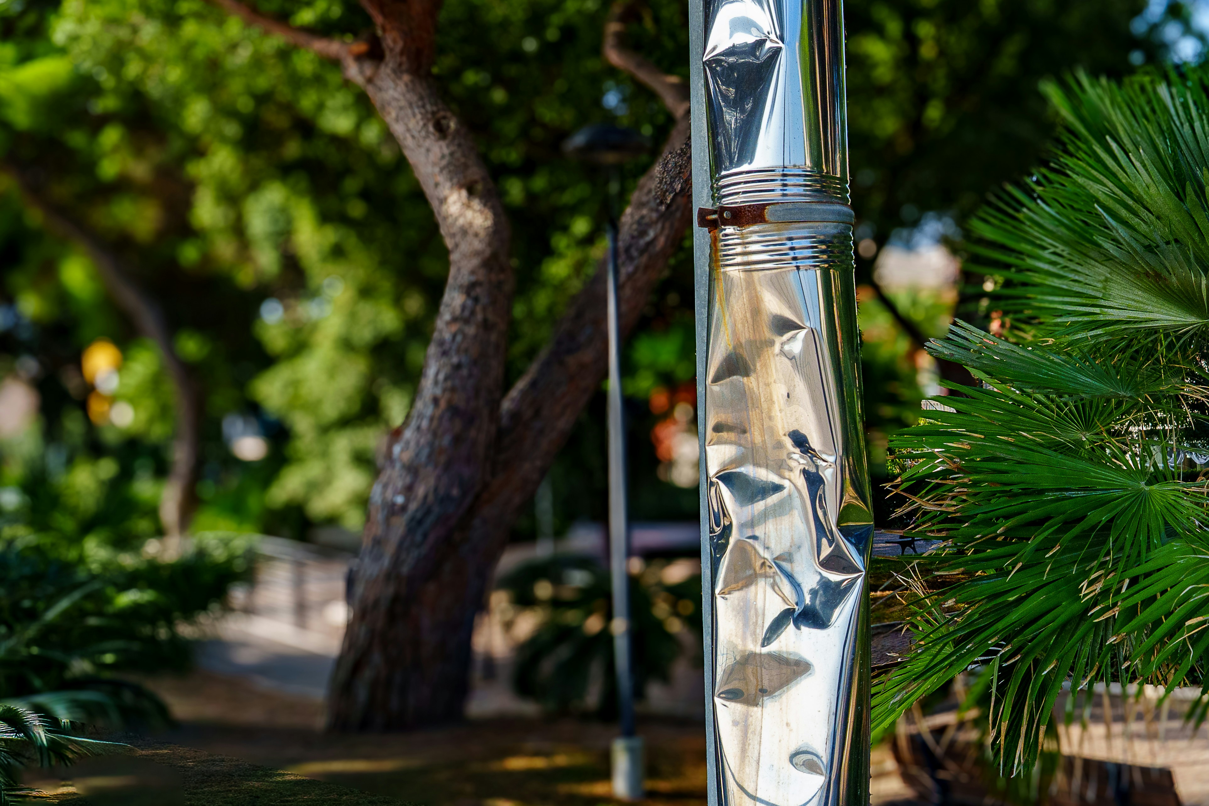Shimmering utility: metallic pole amid a sun-dappled park