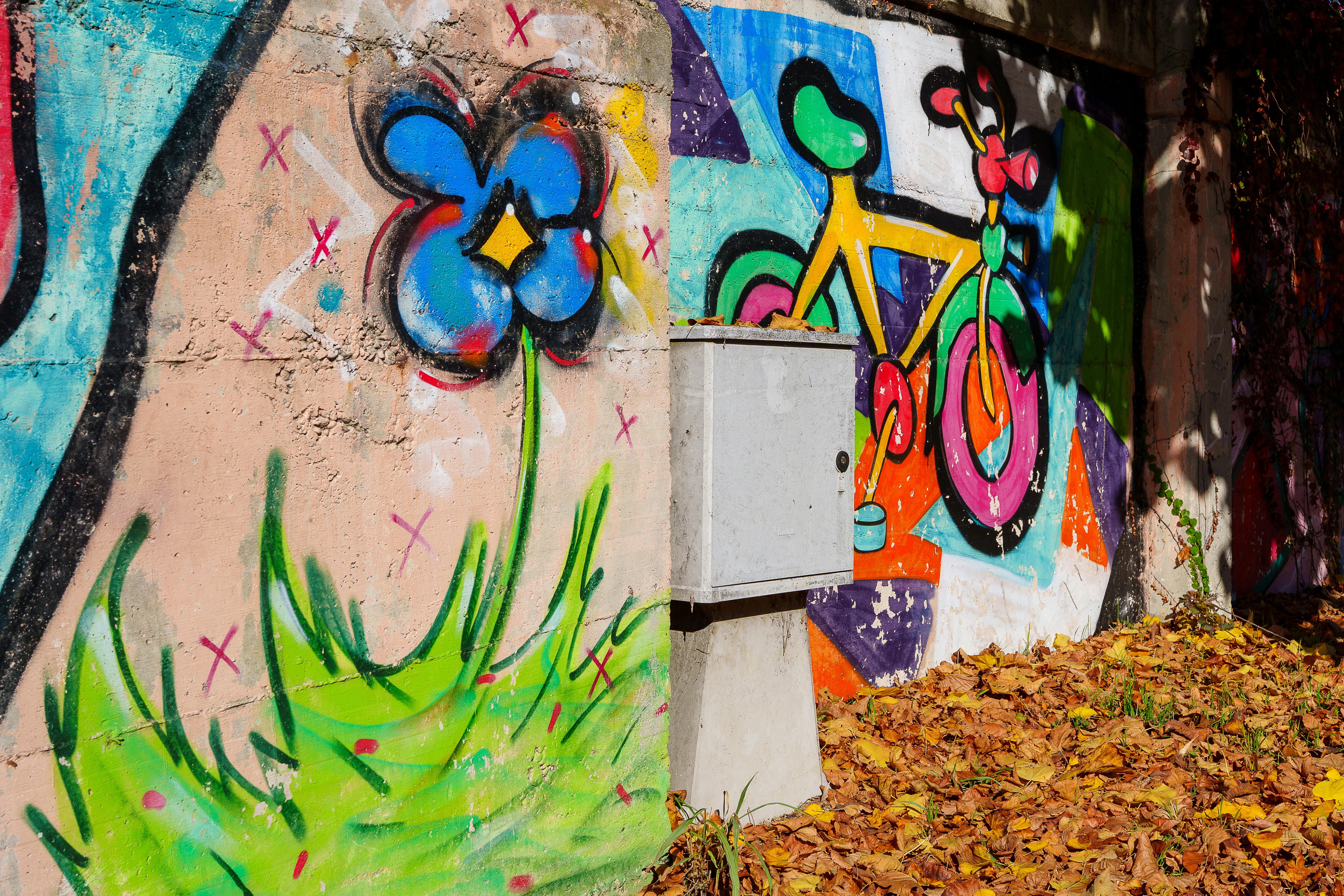 Graffiti Bloom: A Street Garden with a Silver Utility Box