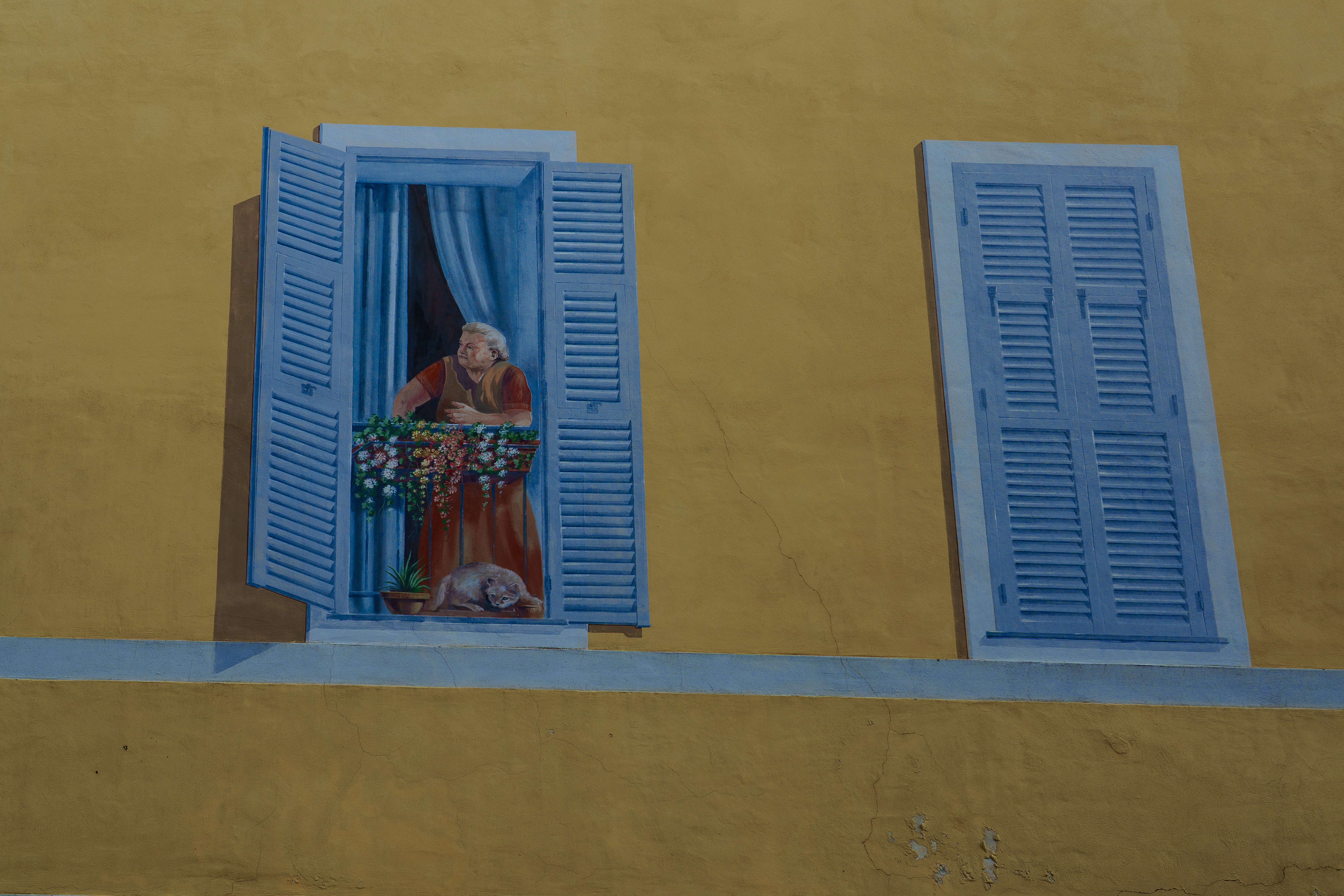 Blue Shuttered Window with Balcony Bloom