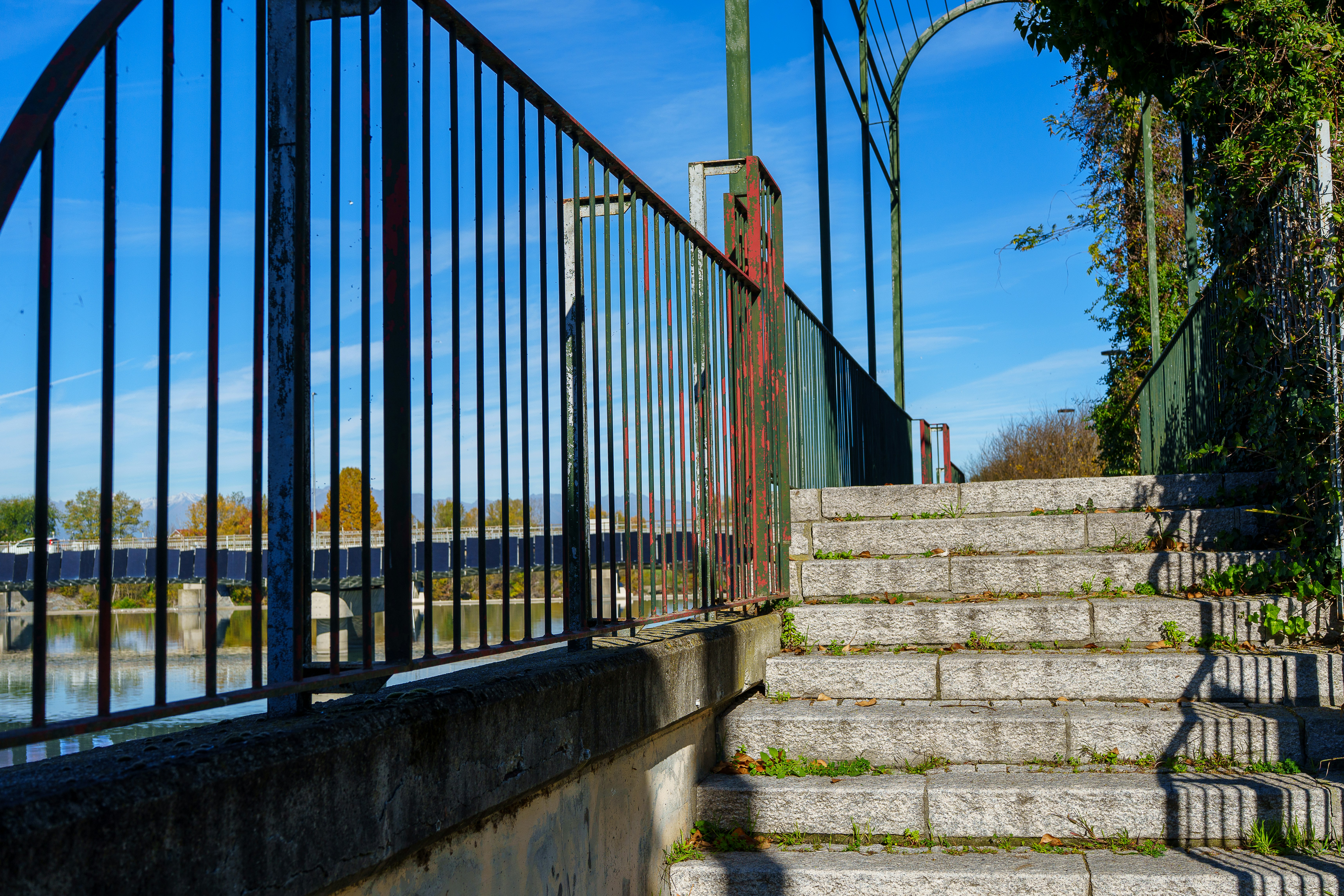 Sunlit Steps: A Quiet Railing Leads Up to a Green Canopy
