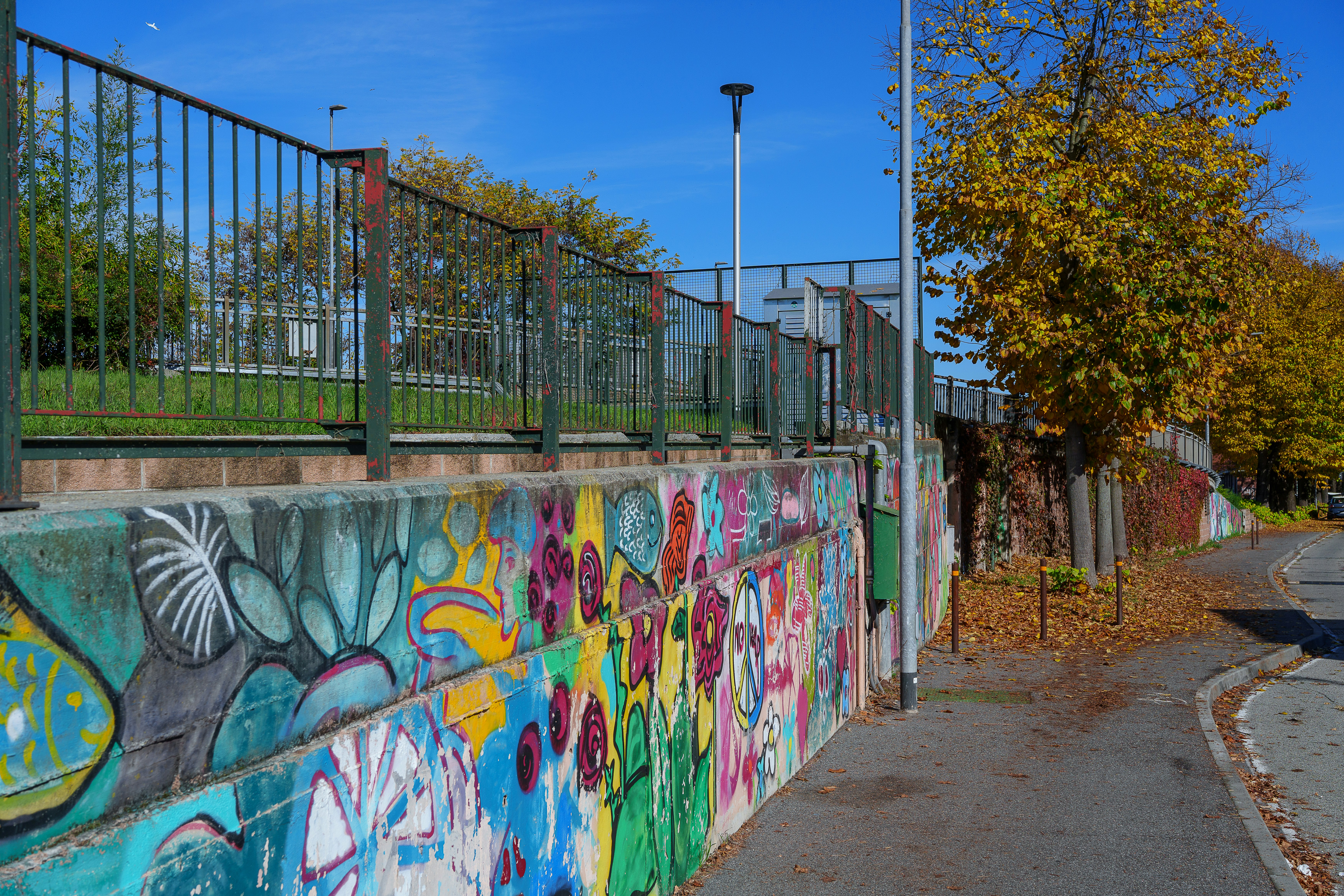Graffiti Wall Mezzo: Colorful Narratives Along a Quiet City Path