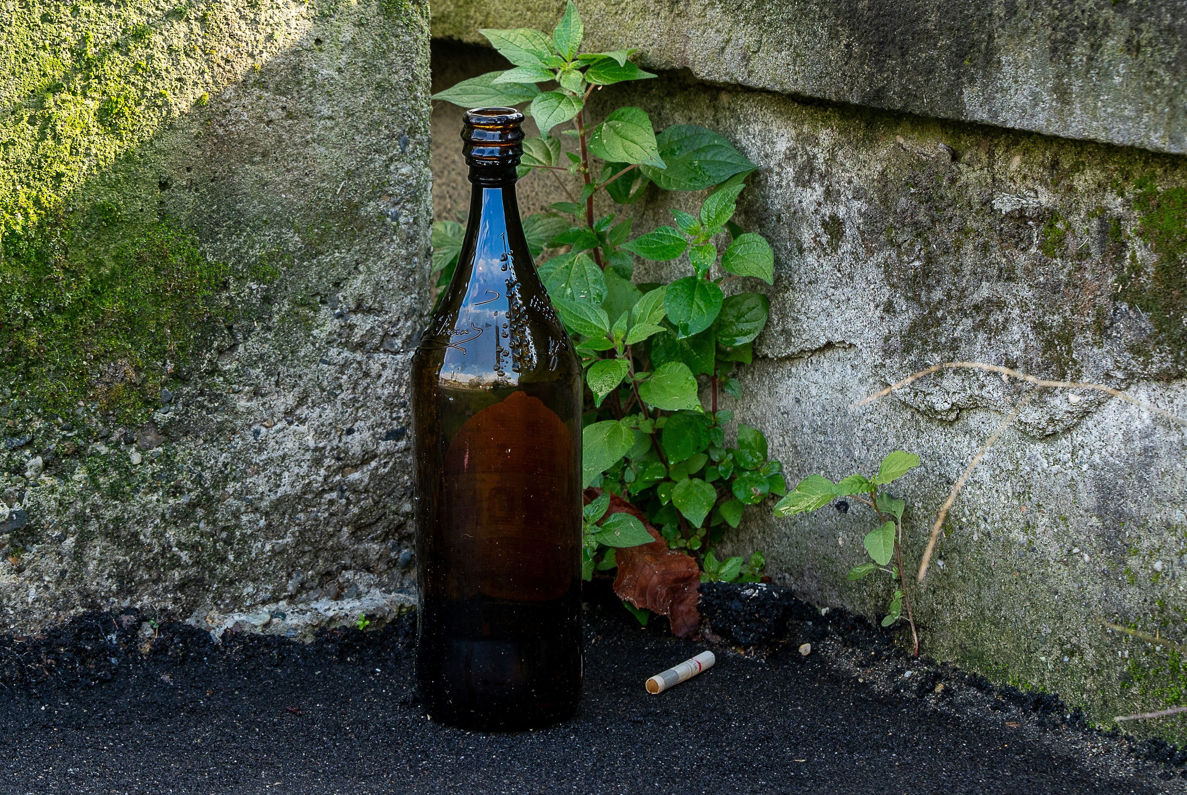 Ghostly Bottle at the Corner: A Quiet Alley Keeps Its Secrets