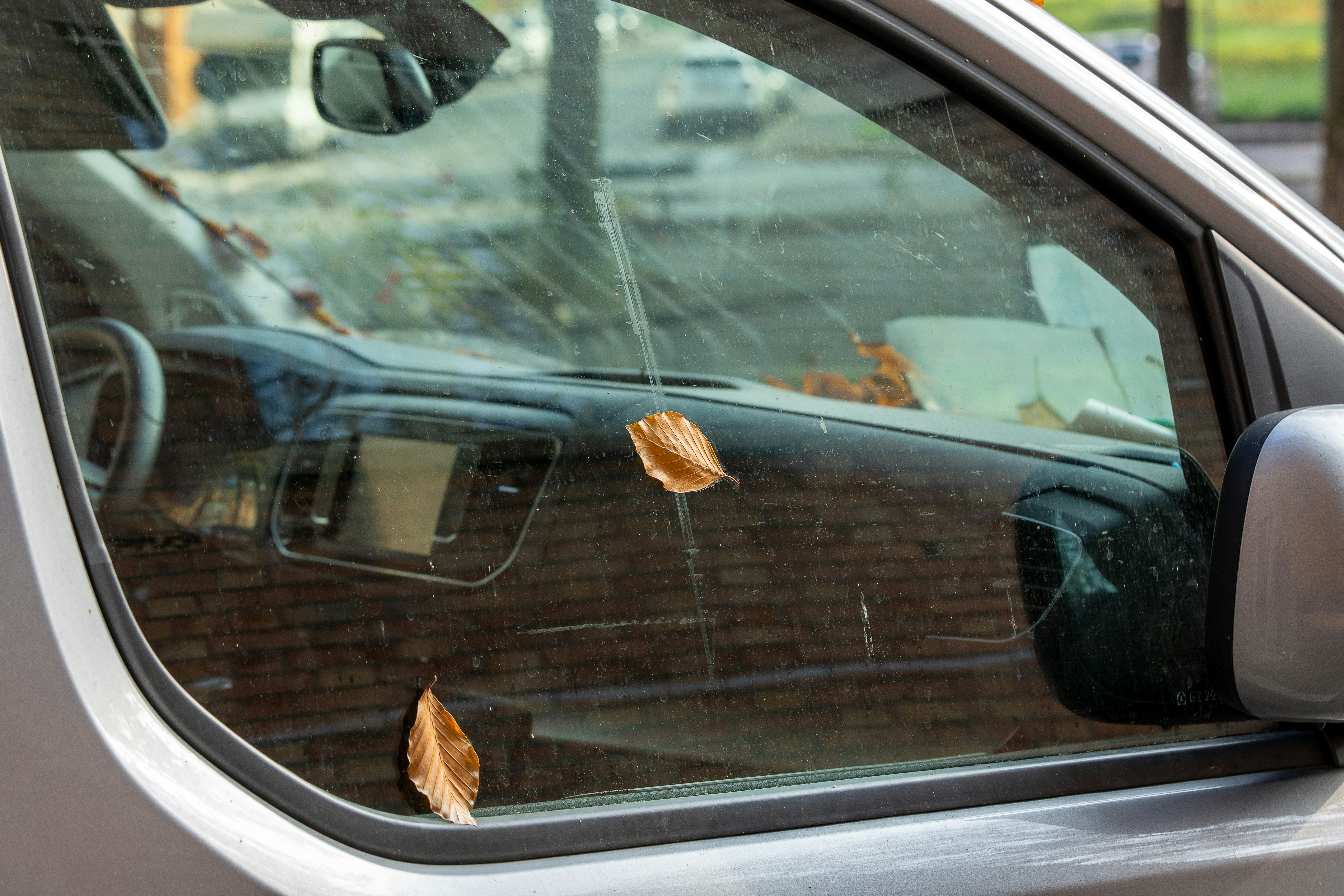 Leaf Maples on a Car Window: A Quiet Autumn Moment Captured