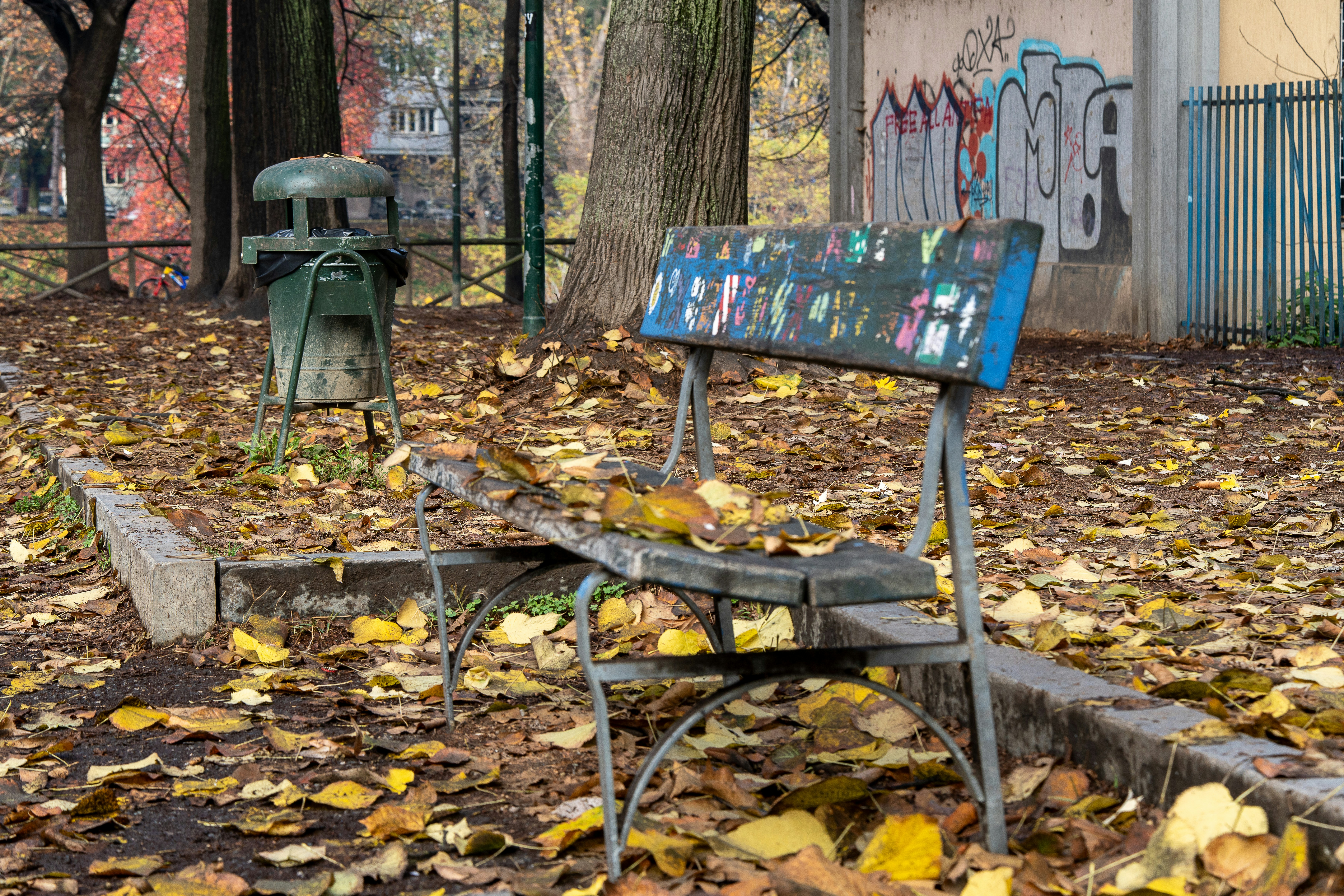 Autumn Bench in a Graffiti-Whispered Park