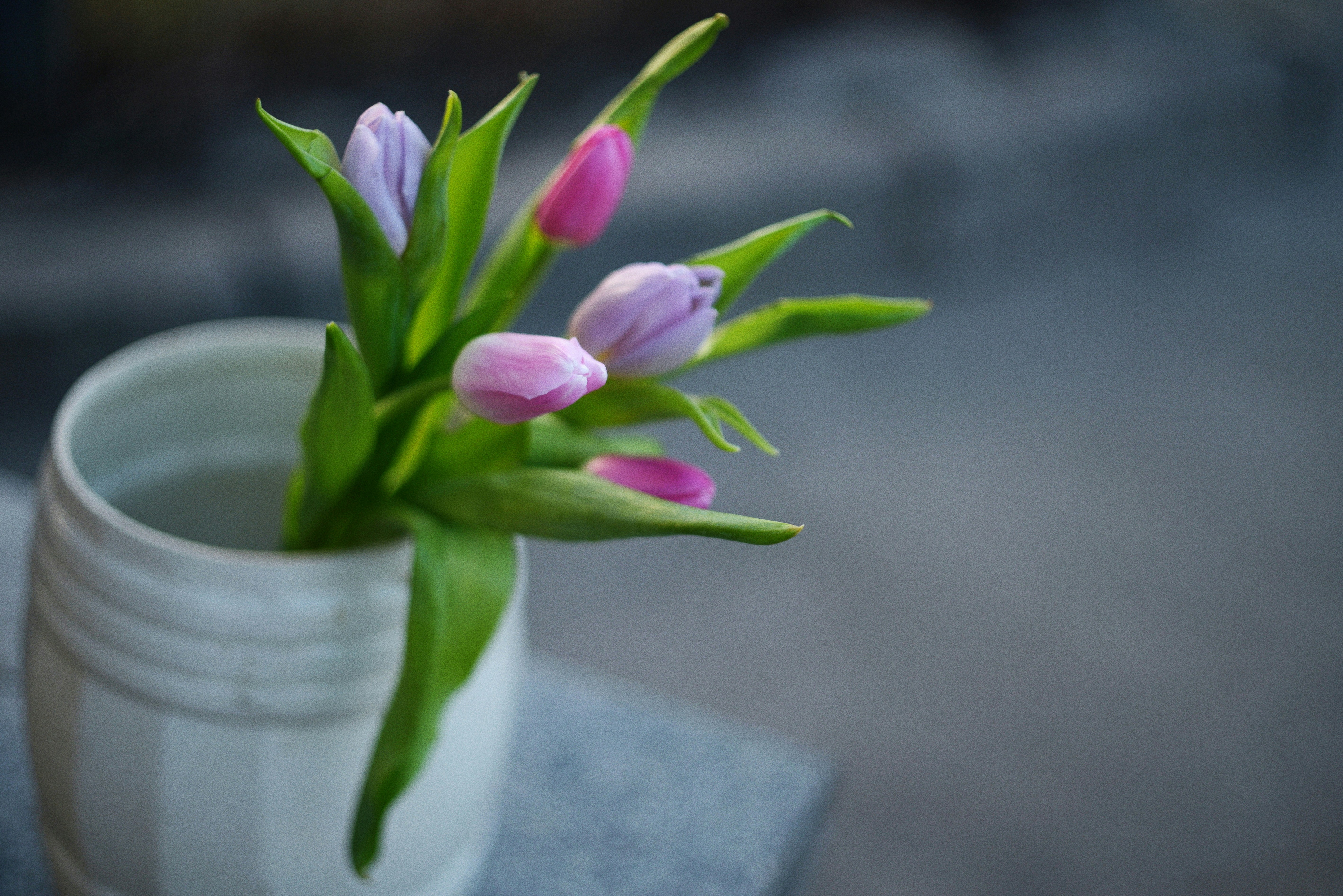 Delicate pink buds in a pale ceramic vase against a blurred staircase backdrop