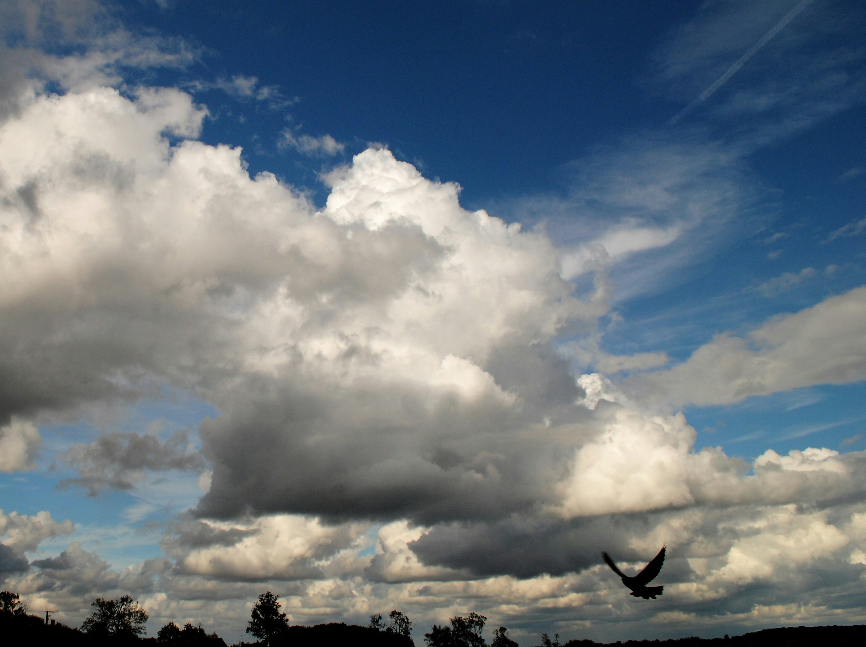 Skyward Canvas: A Evening Burst of Clouds and a Silhouette