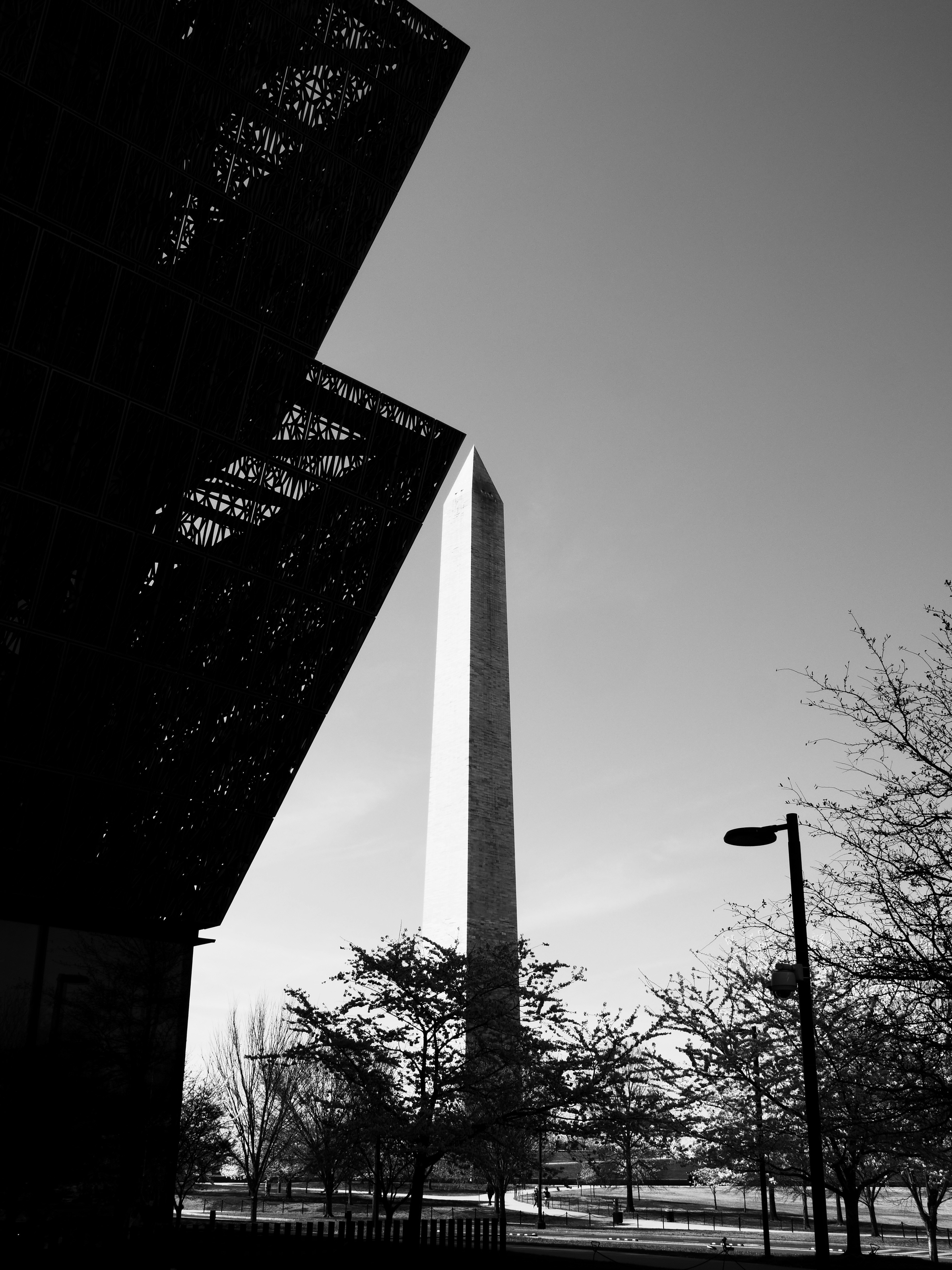 Monumental Shadow: The Obelisk Framed by Angular Canopy