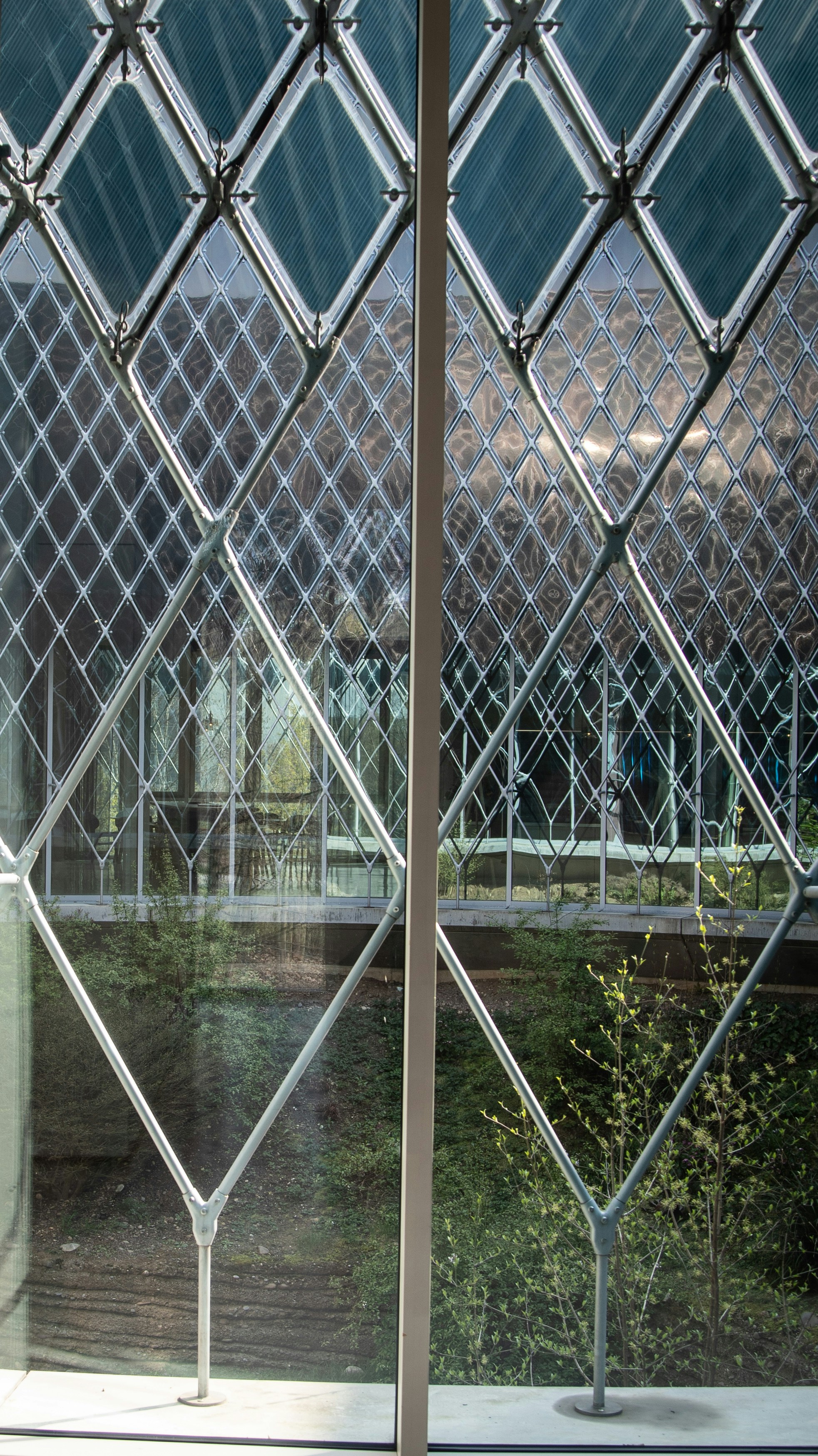 Crossed Glass and Garden: Window Lattice Framing a Modern Courtyard