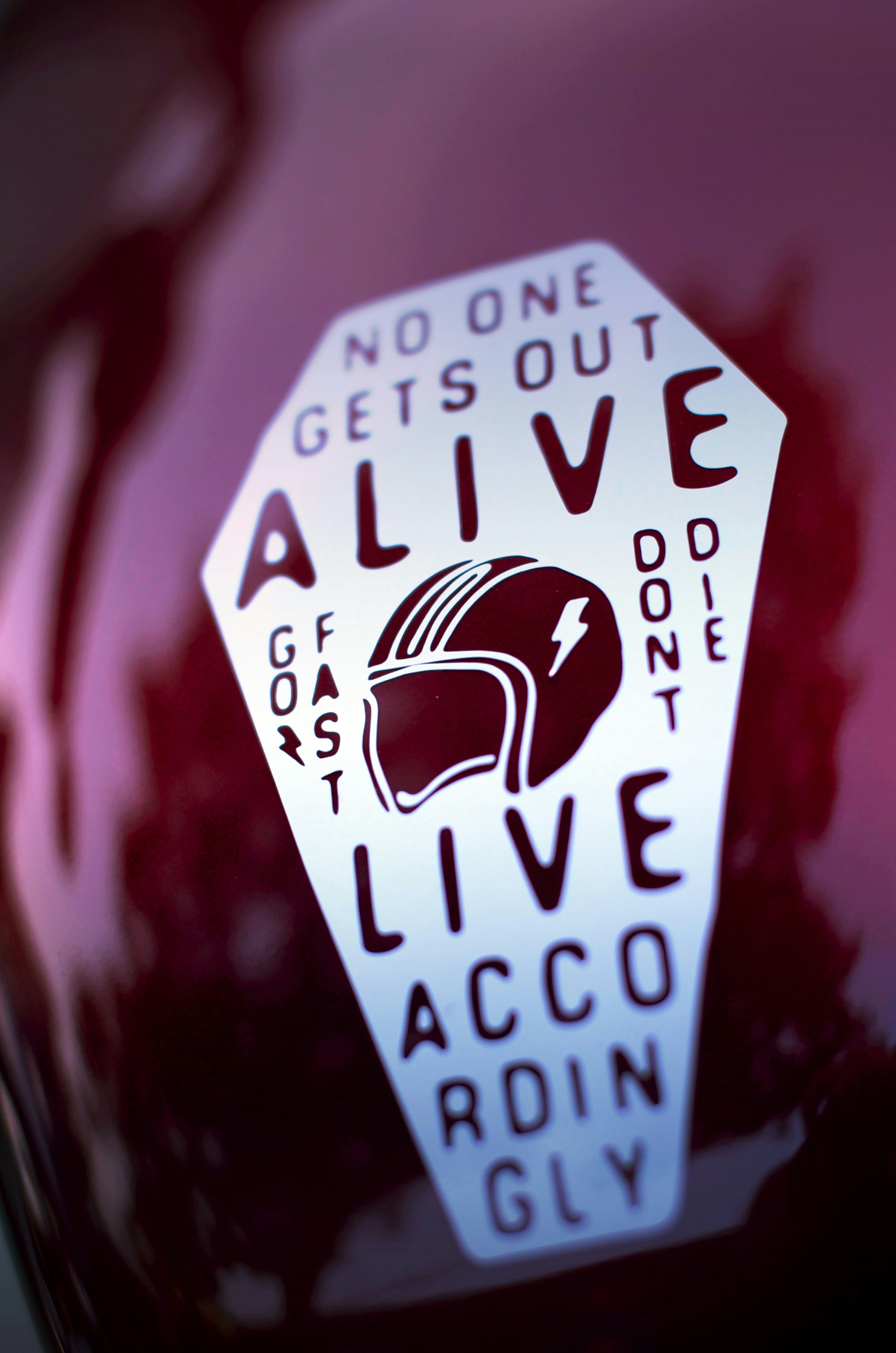 Alive in Chrome: A Helmeted Emblem on a Curved Red Surface