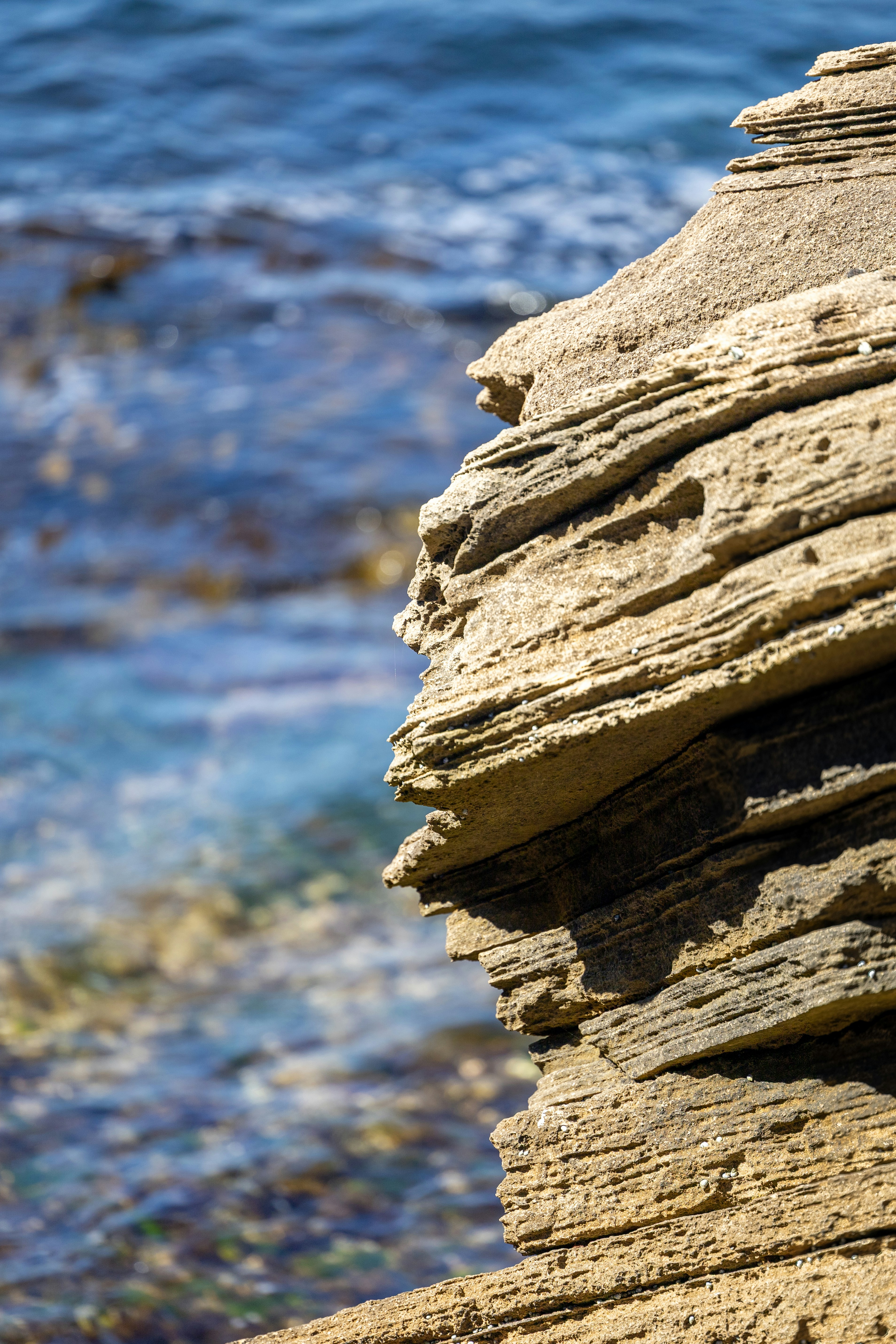 Strata of Coastline: Weathered Cliffs Reaching Toward the Sea