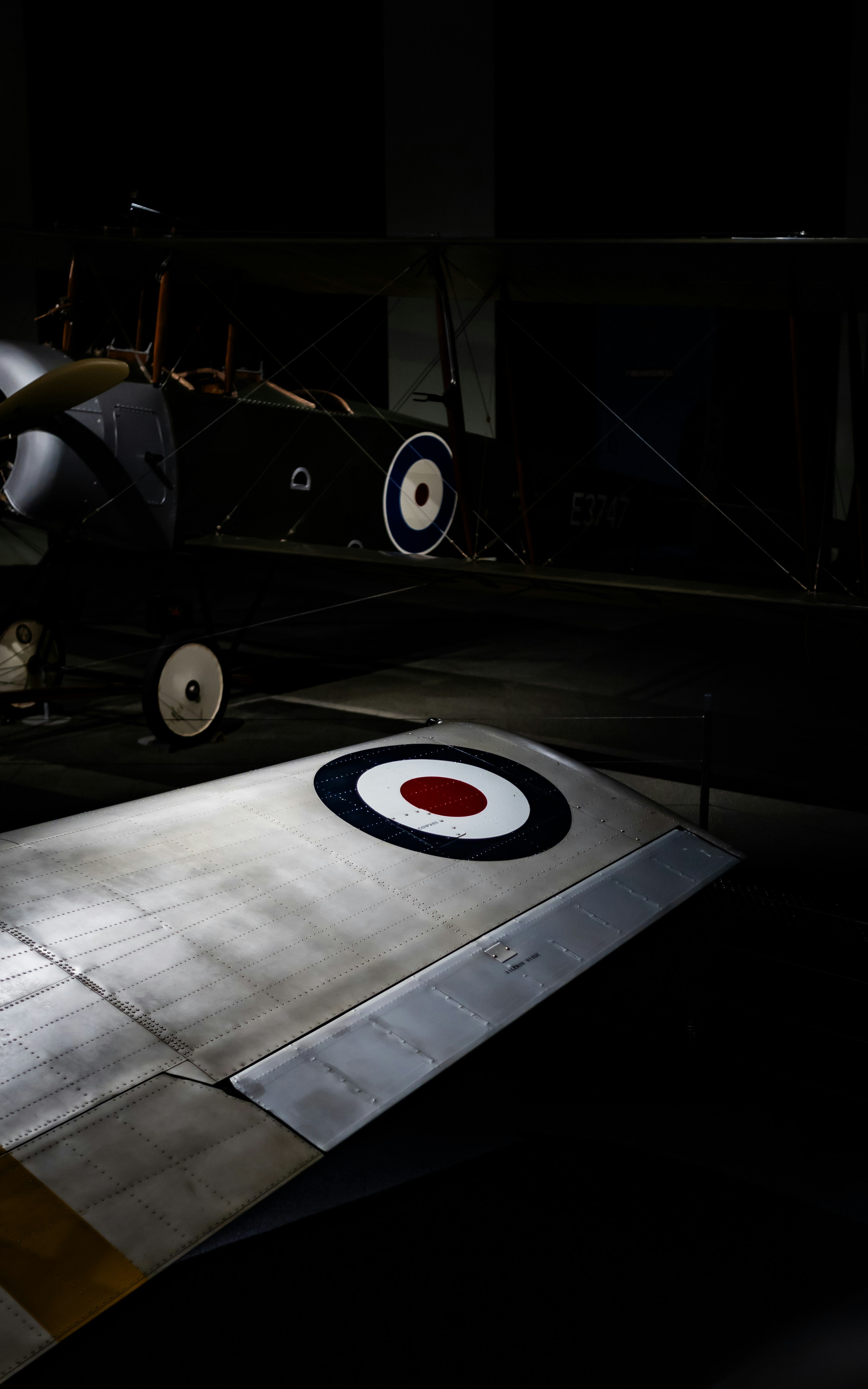Wings in the Dark: Royal Roundel on a Weathered Wing