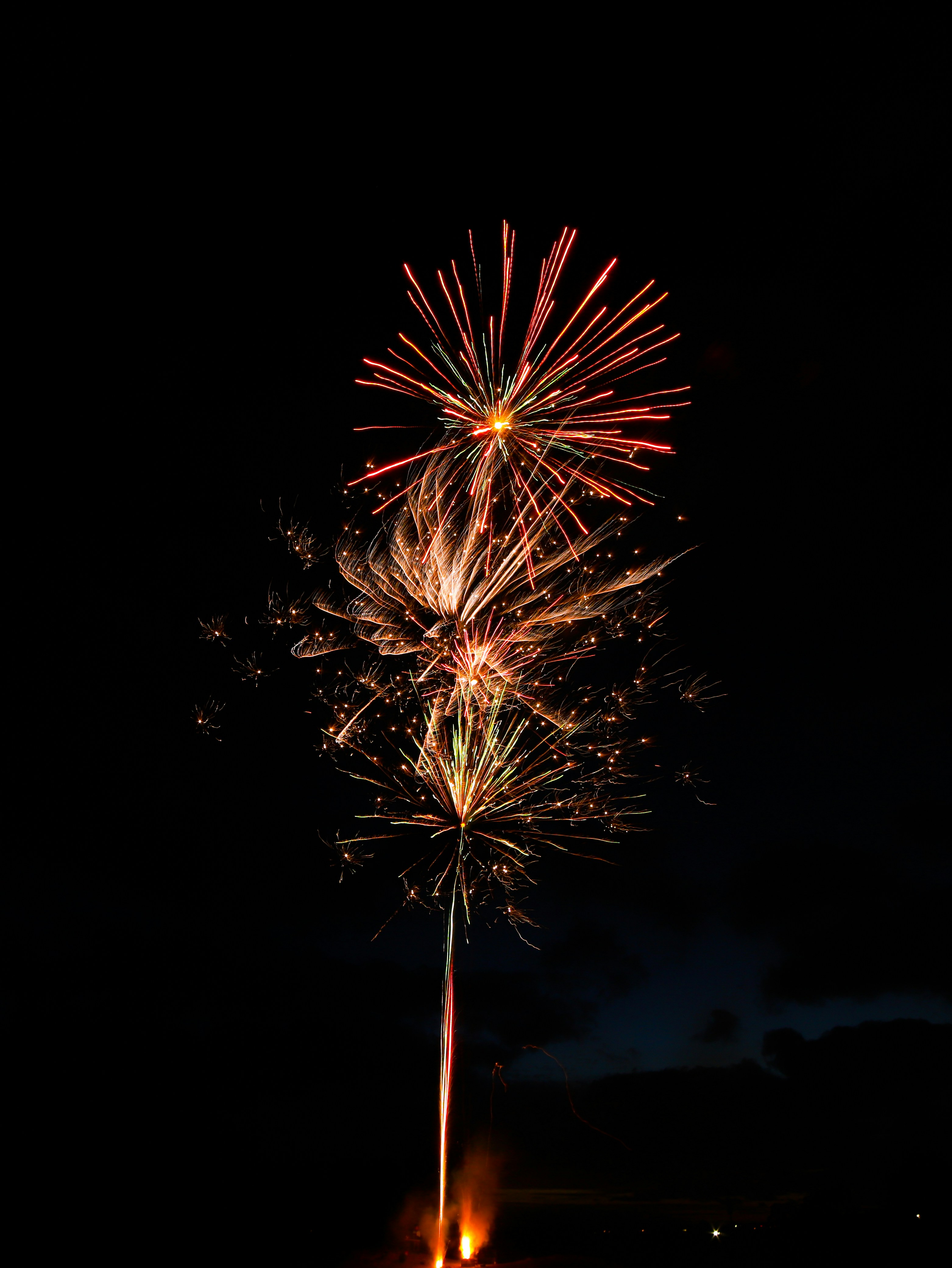 Midnight Skyburst: A Firework Blooming Above the Silhouette