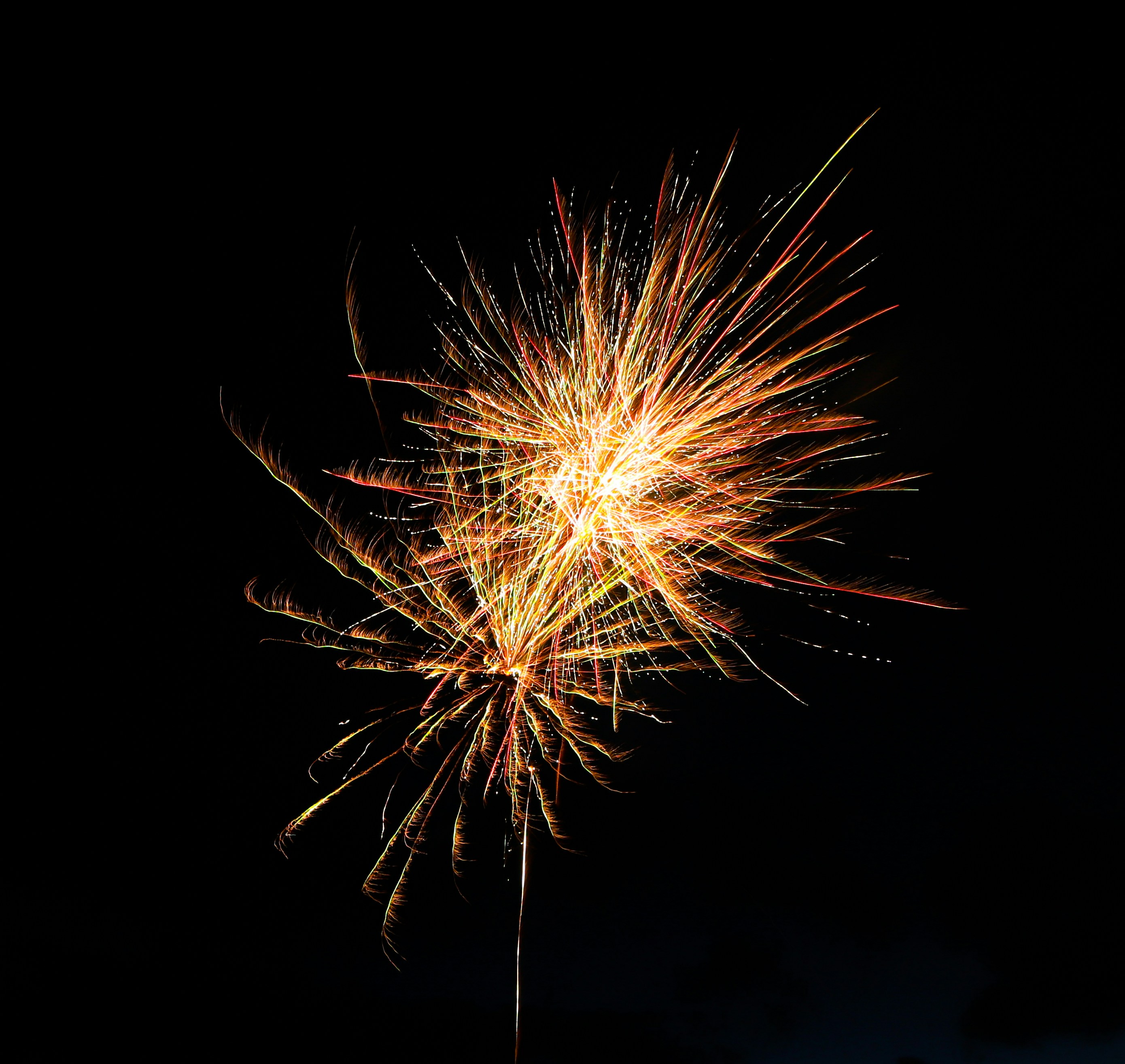 Firework Bloom Above the Night: A Central Burst in Velvet Darkness