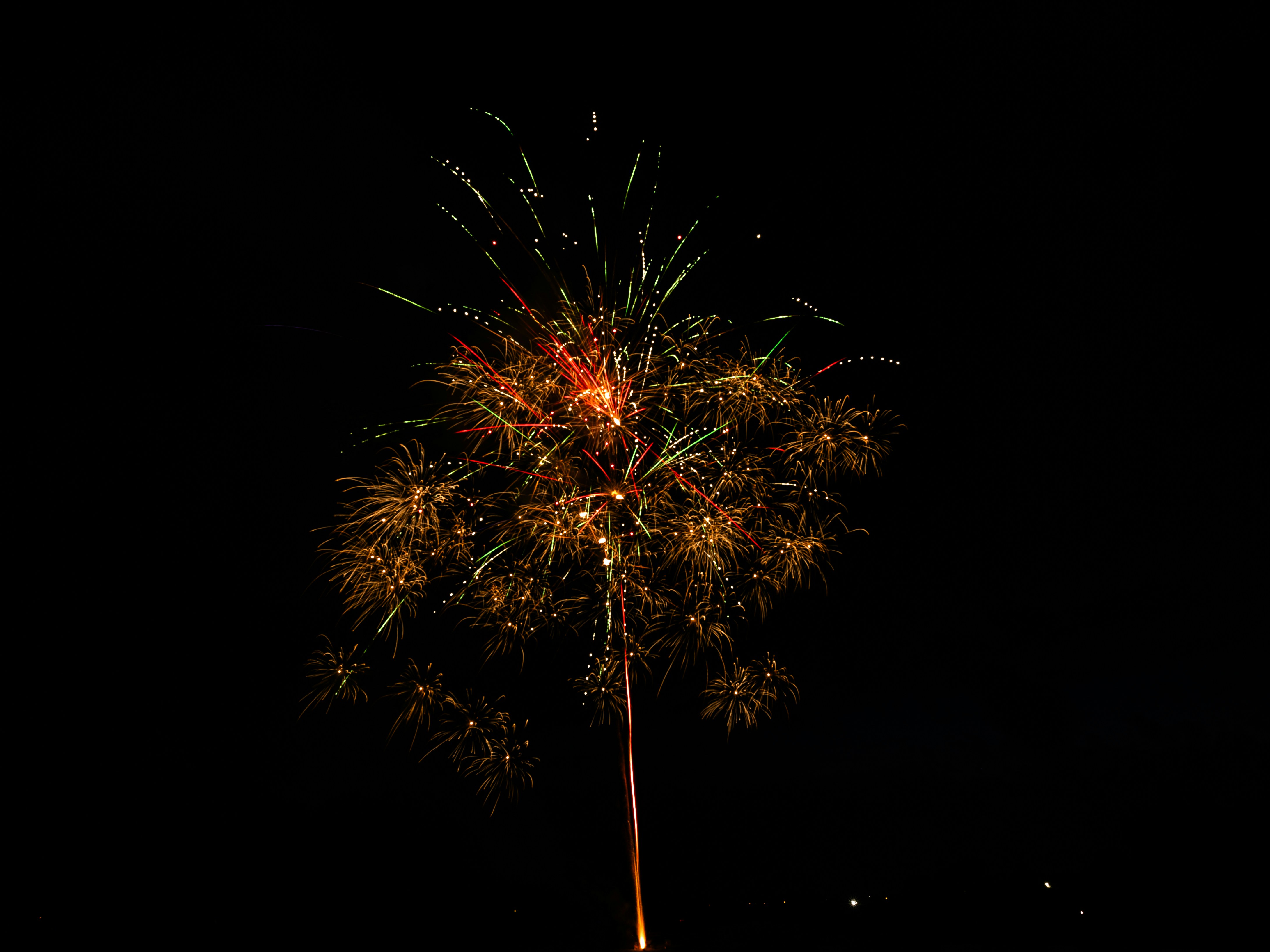 Midnight Bloom: A single firework blossoms above a quiet horizon