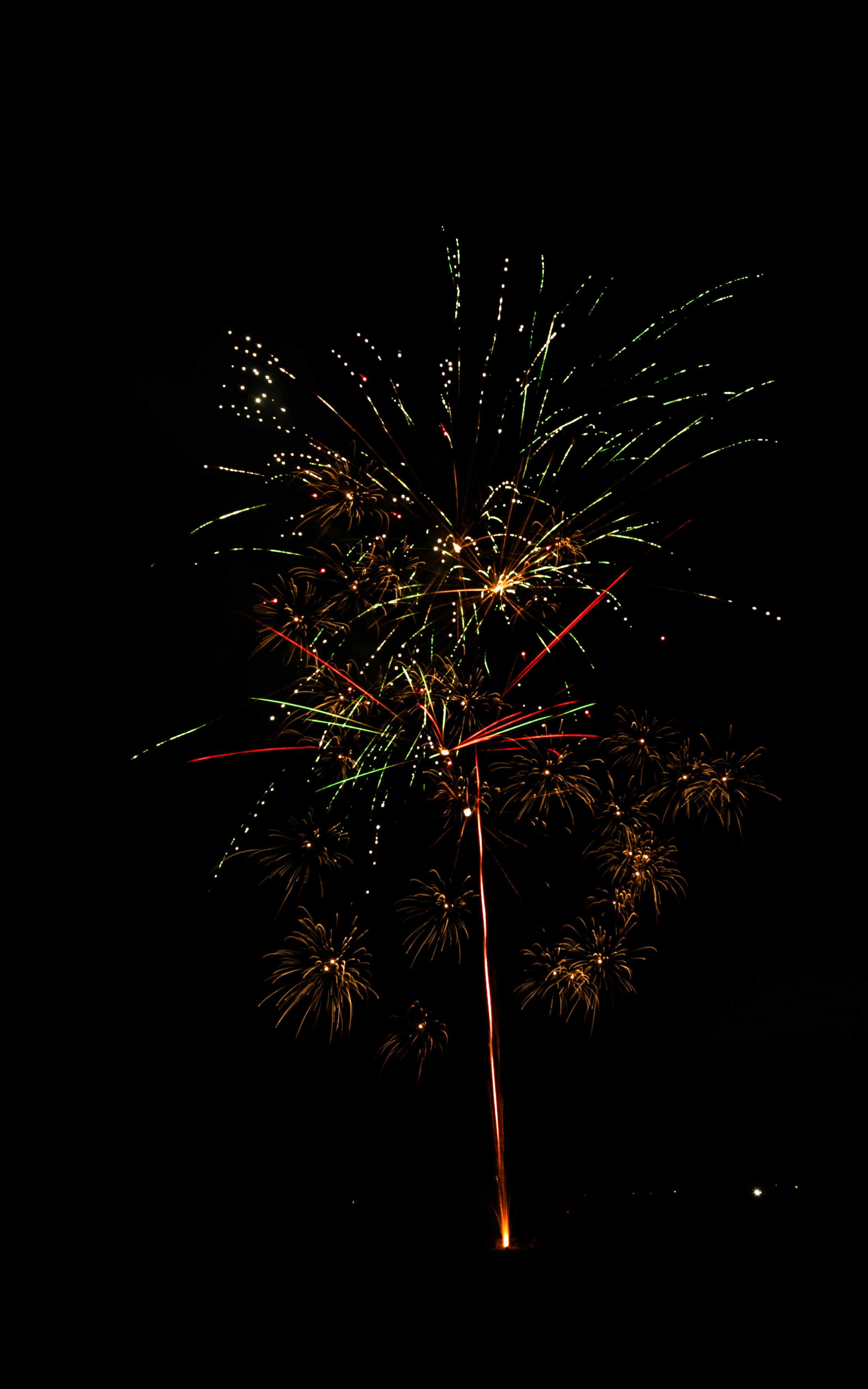 Midnight Skyburst: Fireworks from a Lone Palm of Light