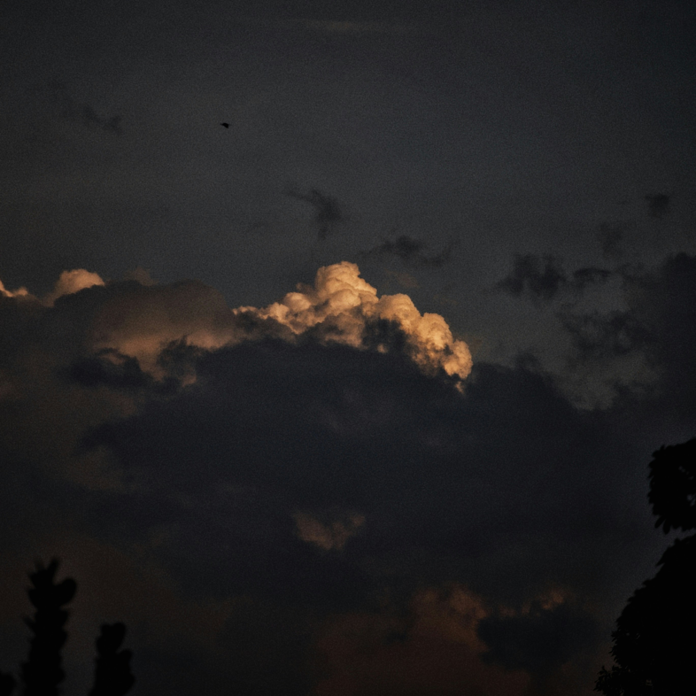Cloudbank at Dusk: A Lone Silhouette Beneath Nightfall Skies