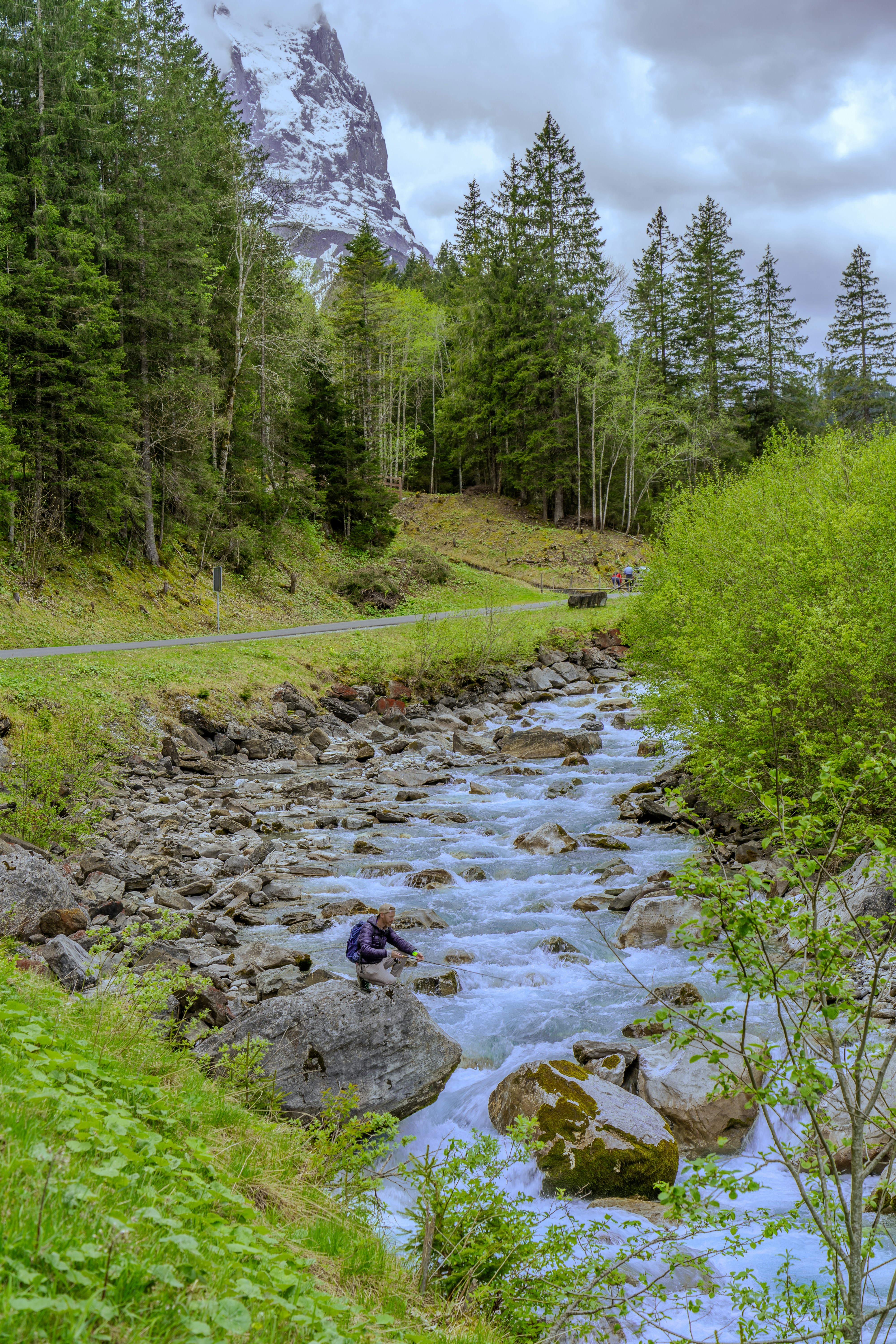 Rushing River Through Alpine Pines