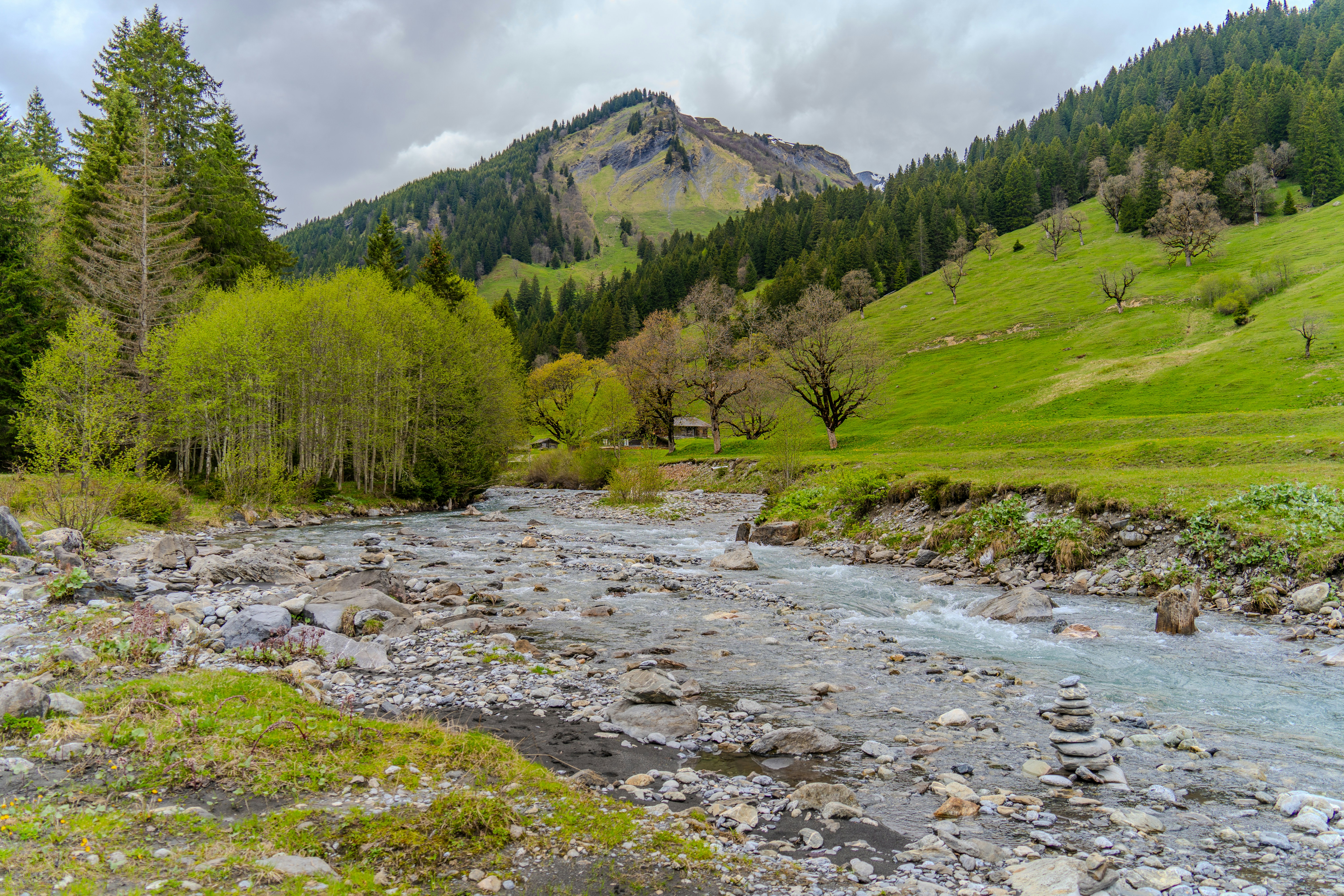 Glacial River in a Lush Valley Beneath a Cloudy Peak