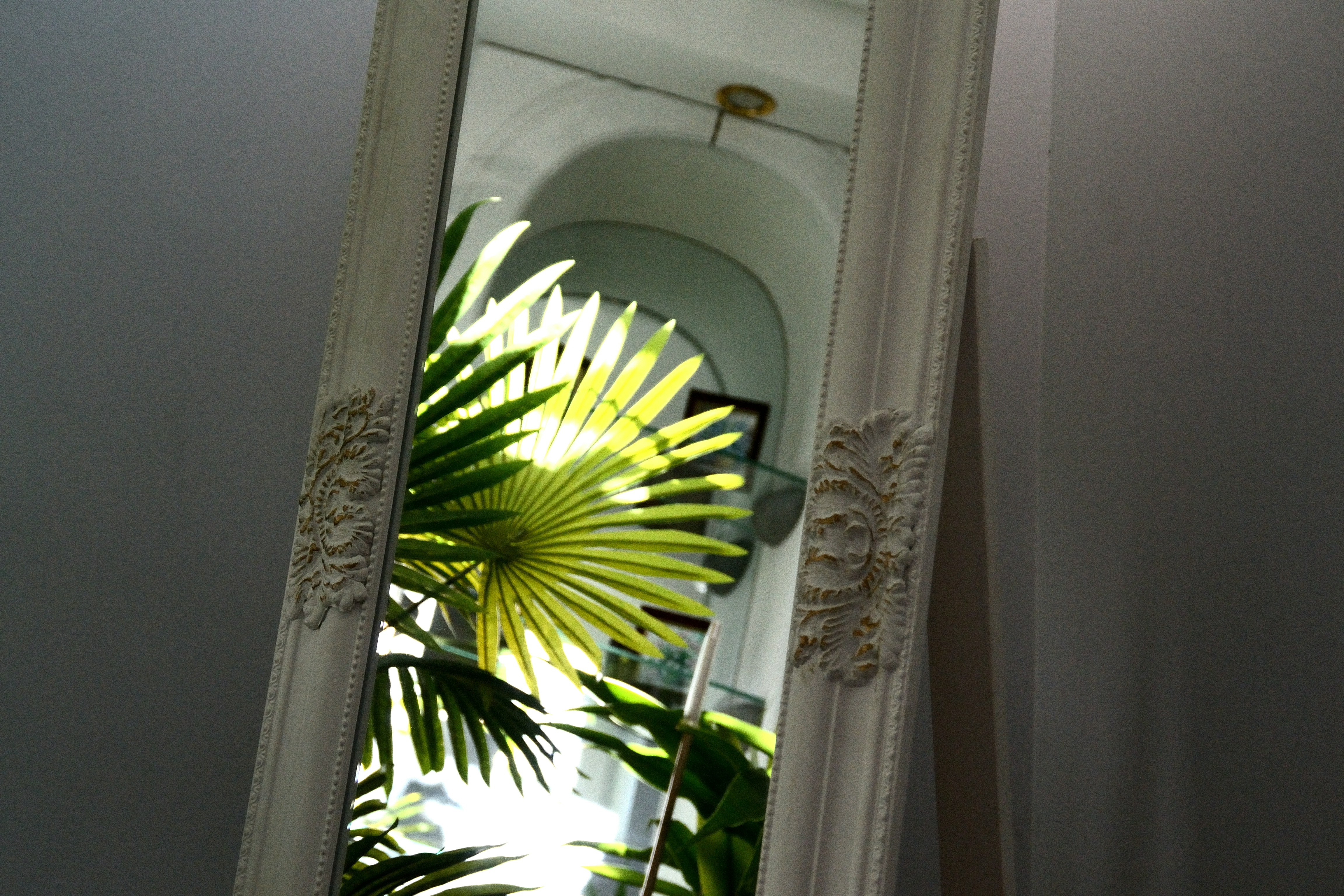 Tilted Mirror with Leafy Echo