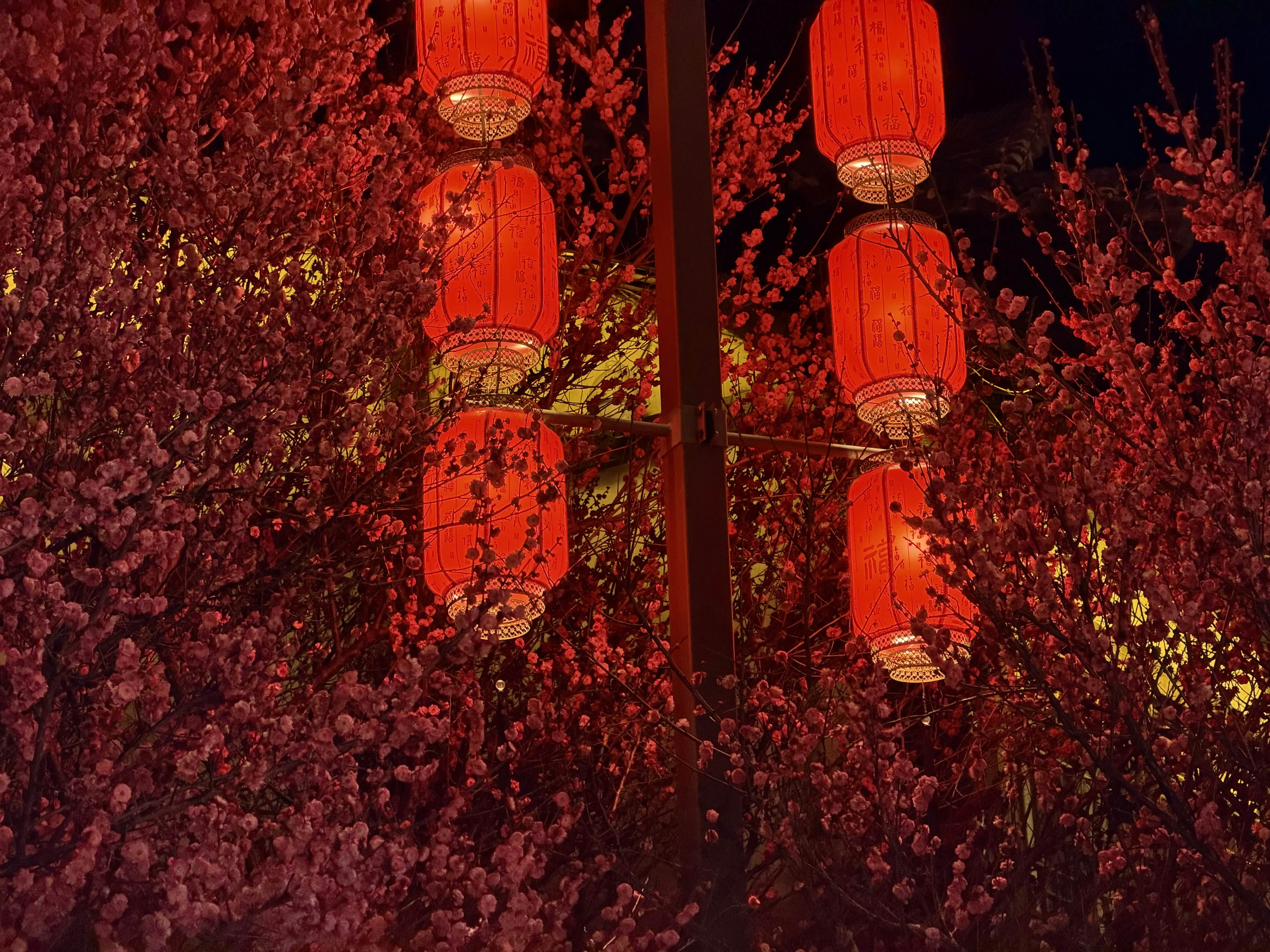 Crimson Lantern Cascade in Lantern-Glow Night