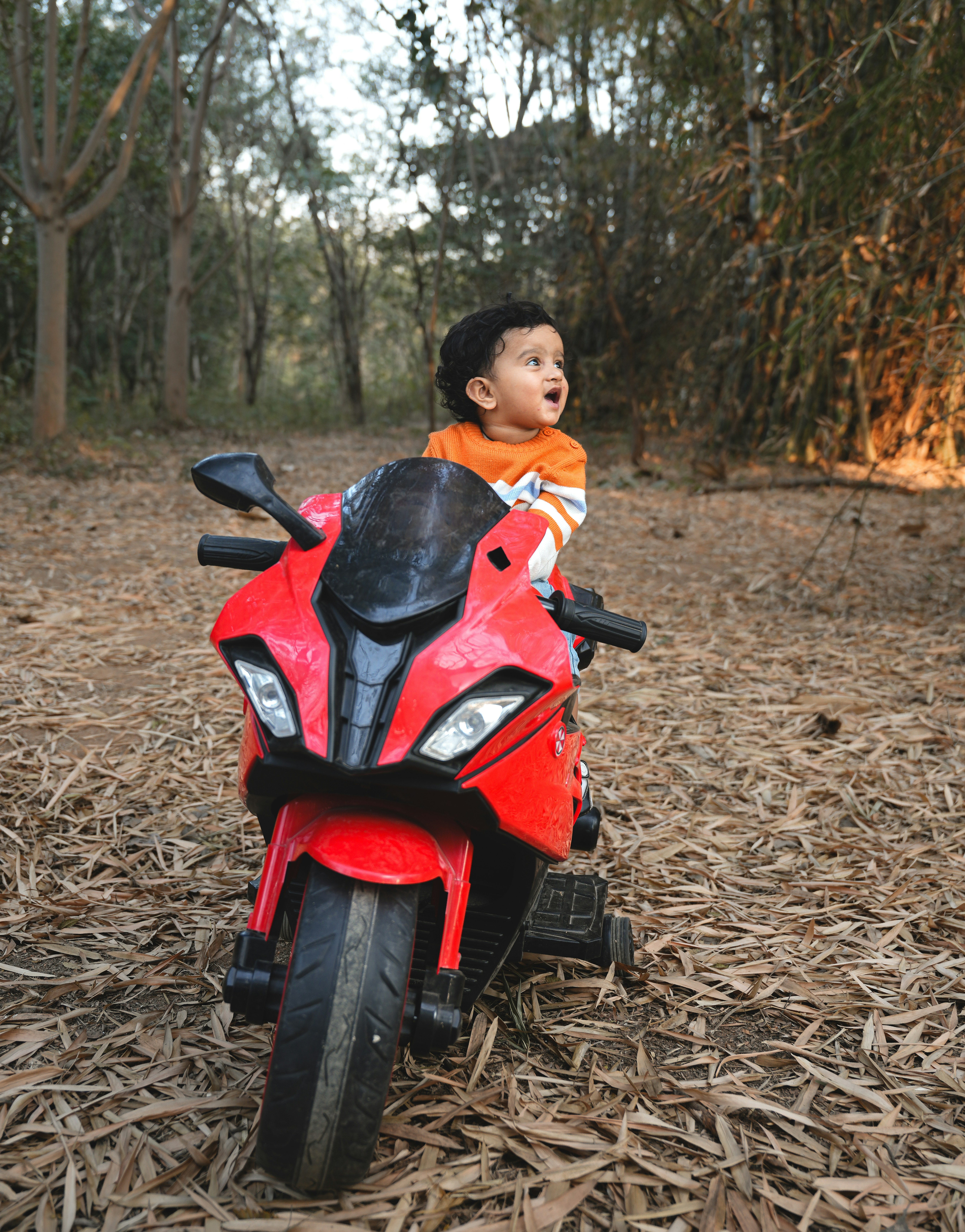 Orange Crew, Red Ride: A Child's First Joyride