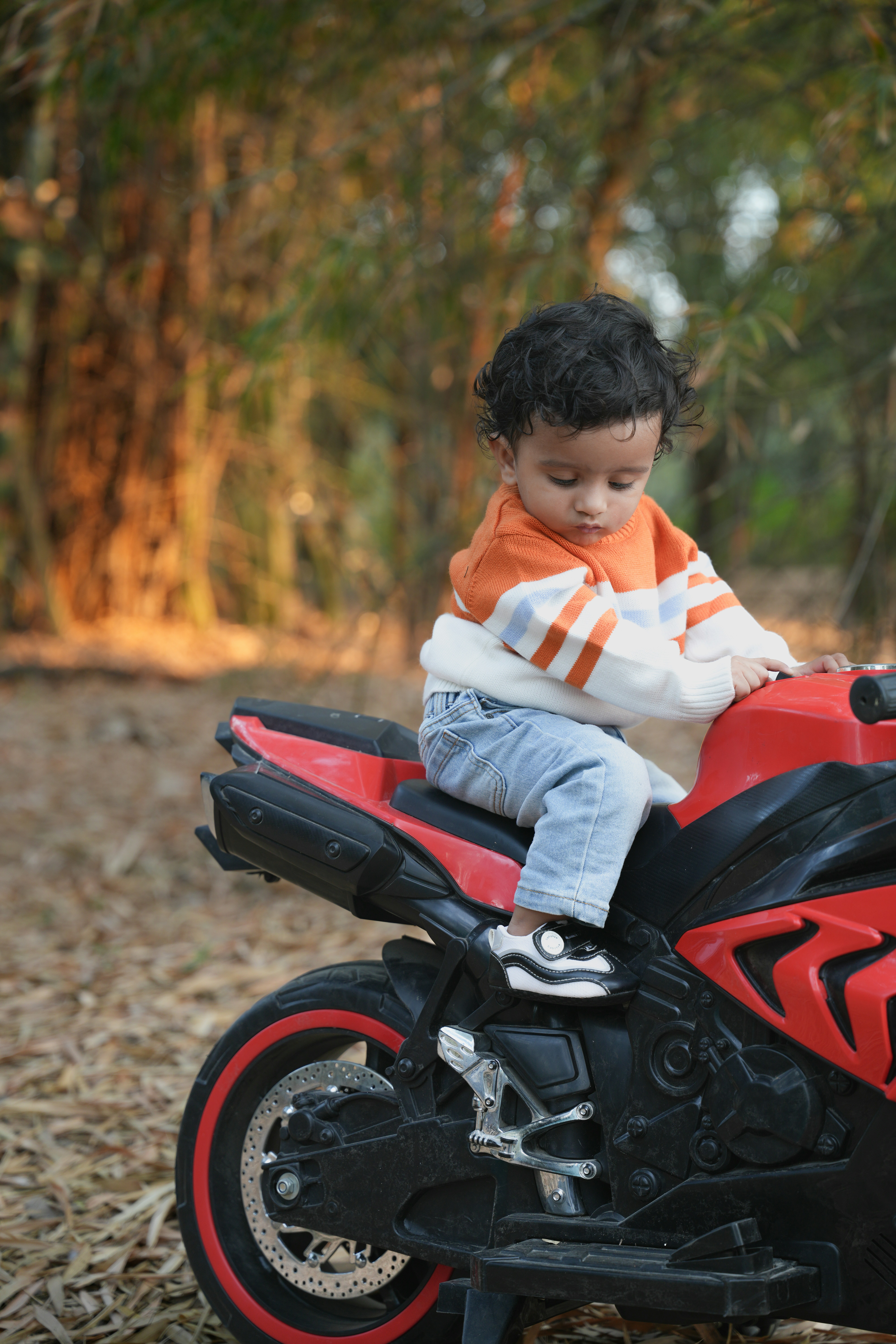 Little Rider: Curious Quietude on a Red Bike