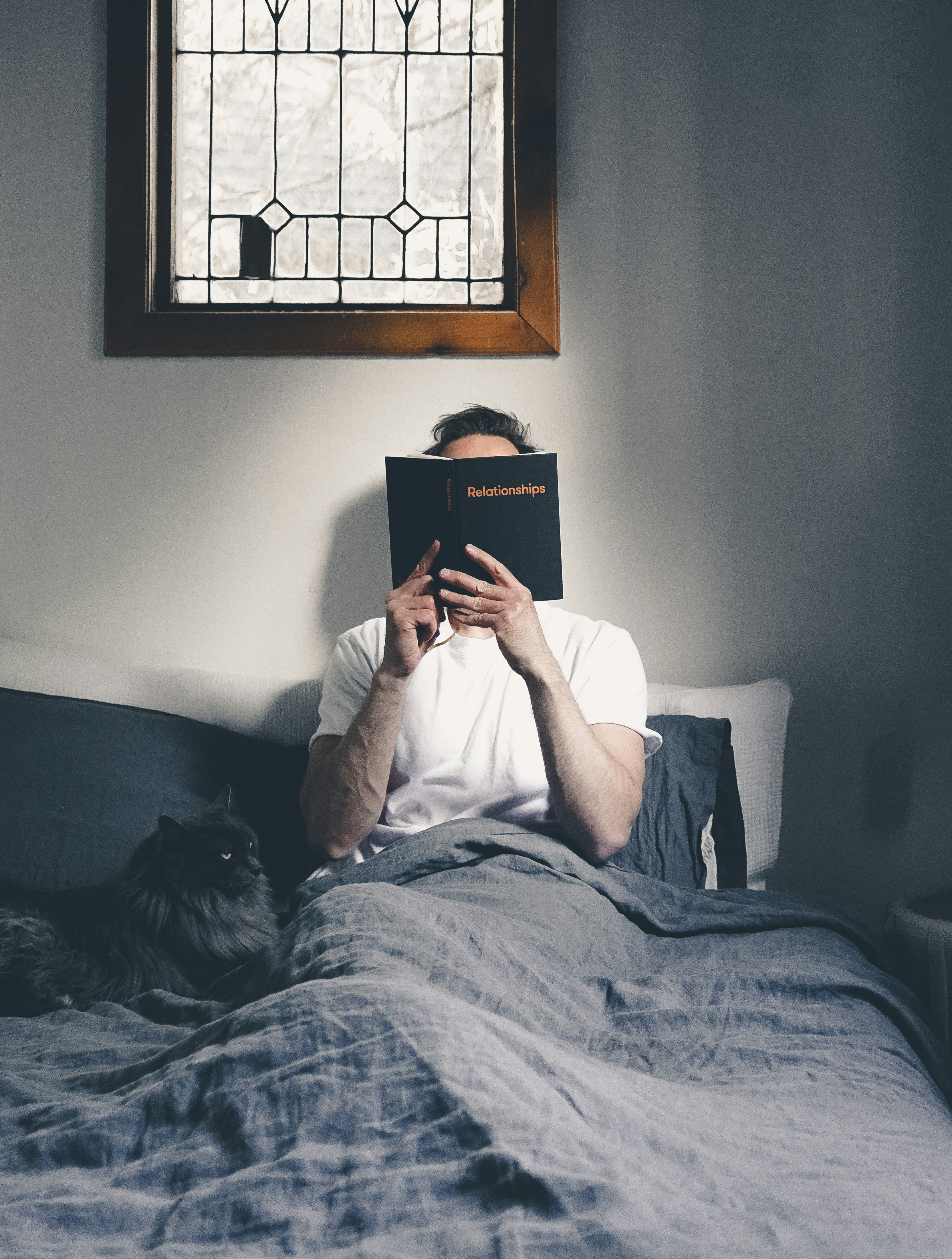 Reading in the Quiet: A Man with a Book and a Cat on a Bed