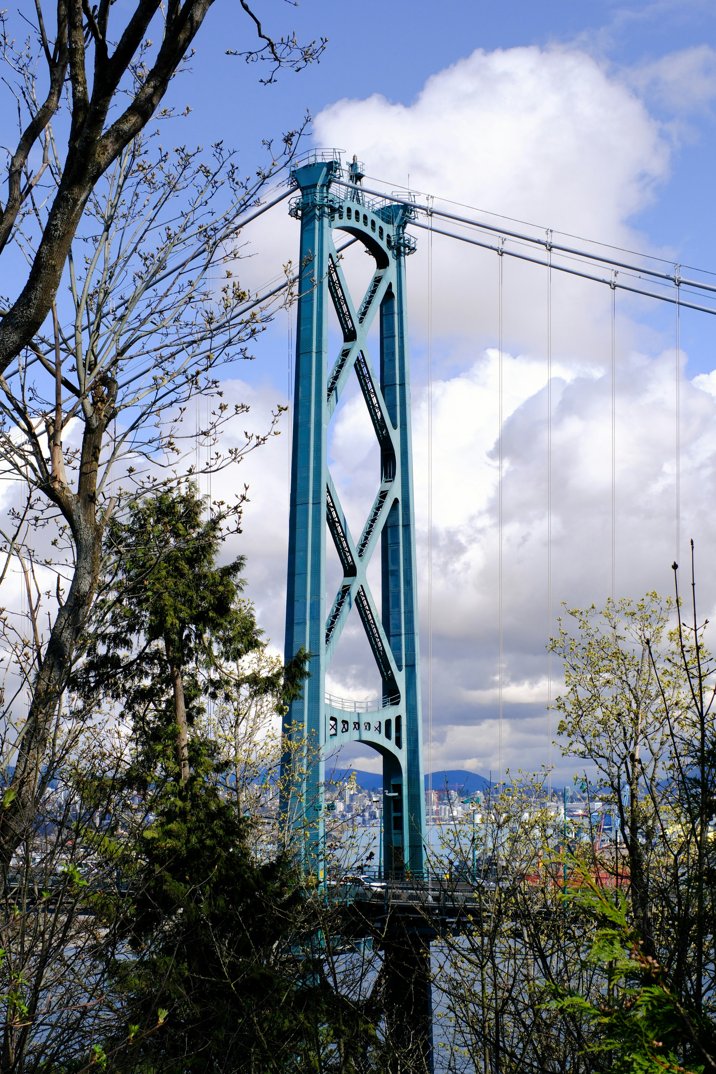 Teal Tower in the Breeze: A Bridge Silhouette Framed by Spring Branches