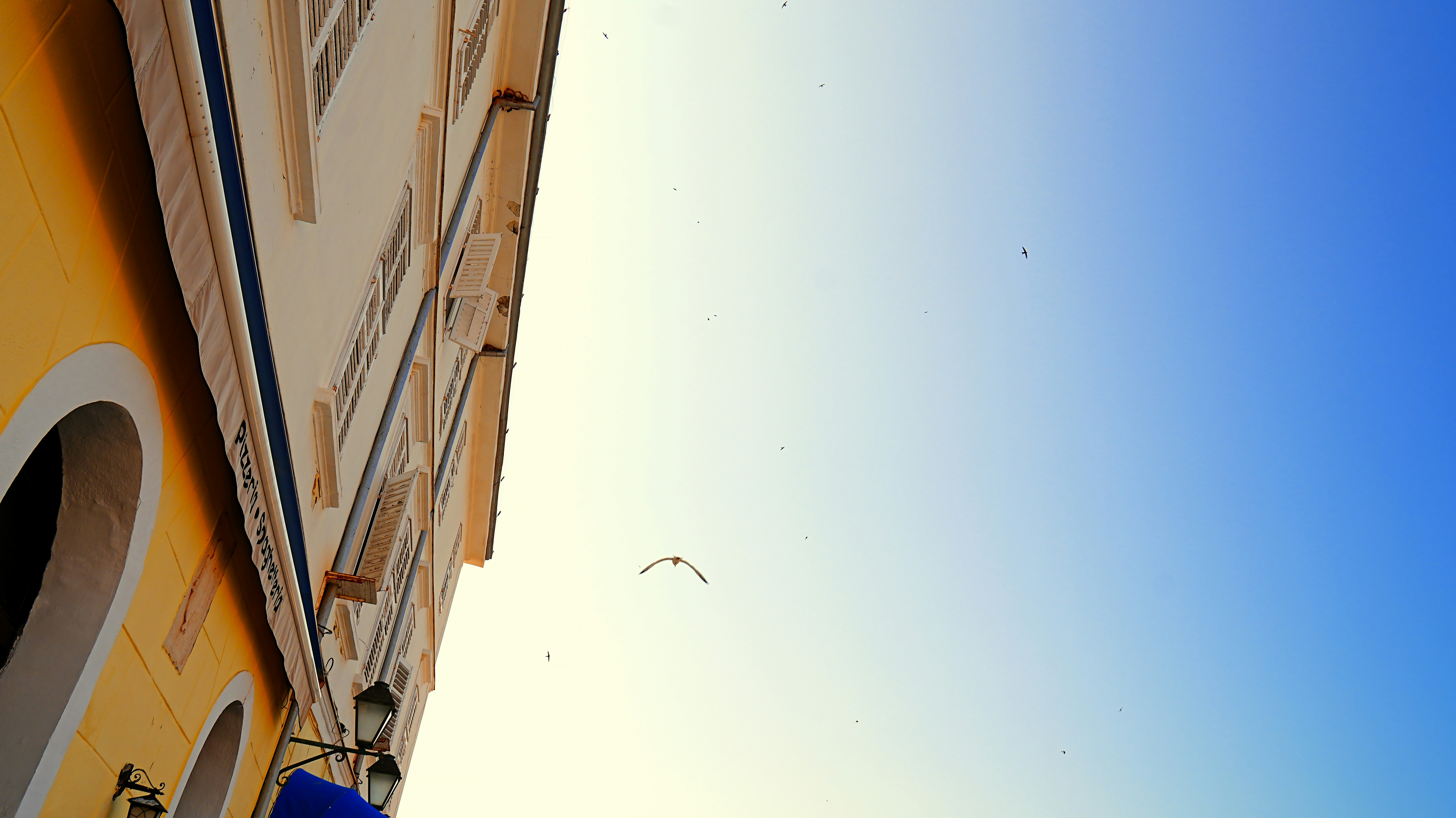 Sunlit Facade: A Diagonal Night-and-Day Perspective